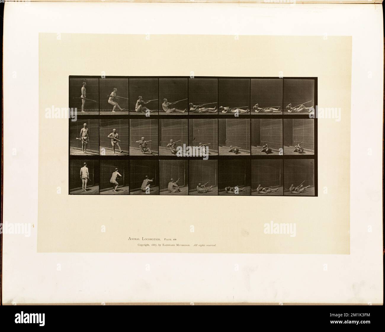 Animal locomotion. Plate 358 , Men, Shooting, Human locomotion, an ...