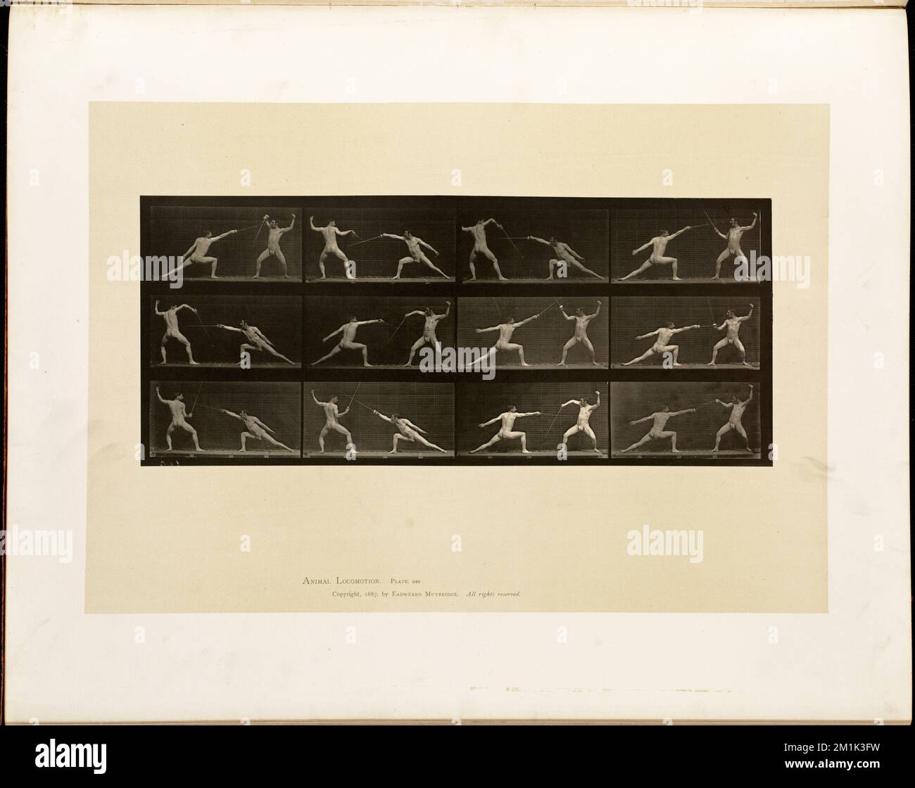 Animal locomotion. Plate 349 , Men, Fencing, Human locomotion, an ...