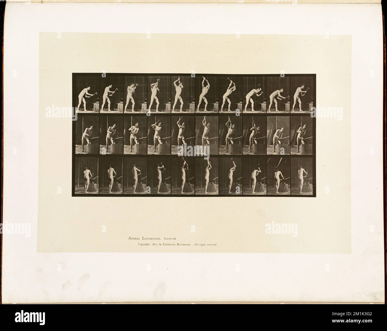 Animal locomotion. Plate 378 , Men, Blacksmithing, Human locomotion, an ...