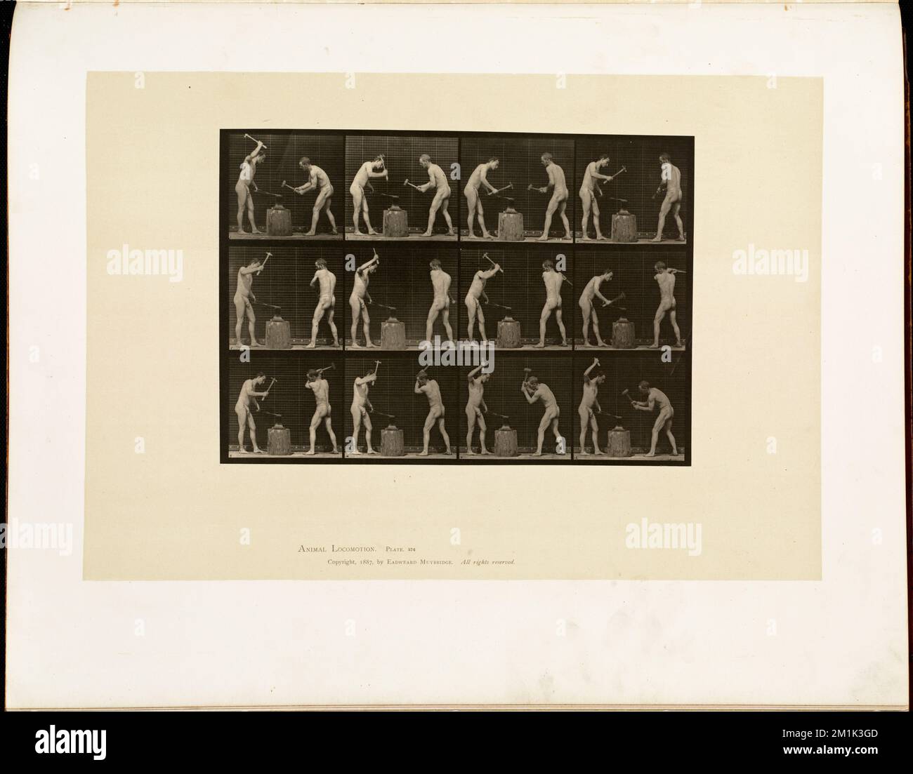 Animal locomotion. Plate 374 , Men, Blacksmithing, Human locomotion, an ...