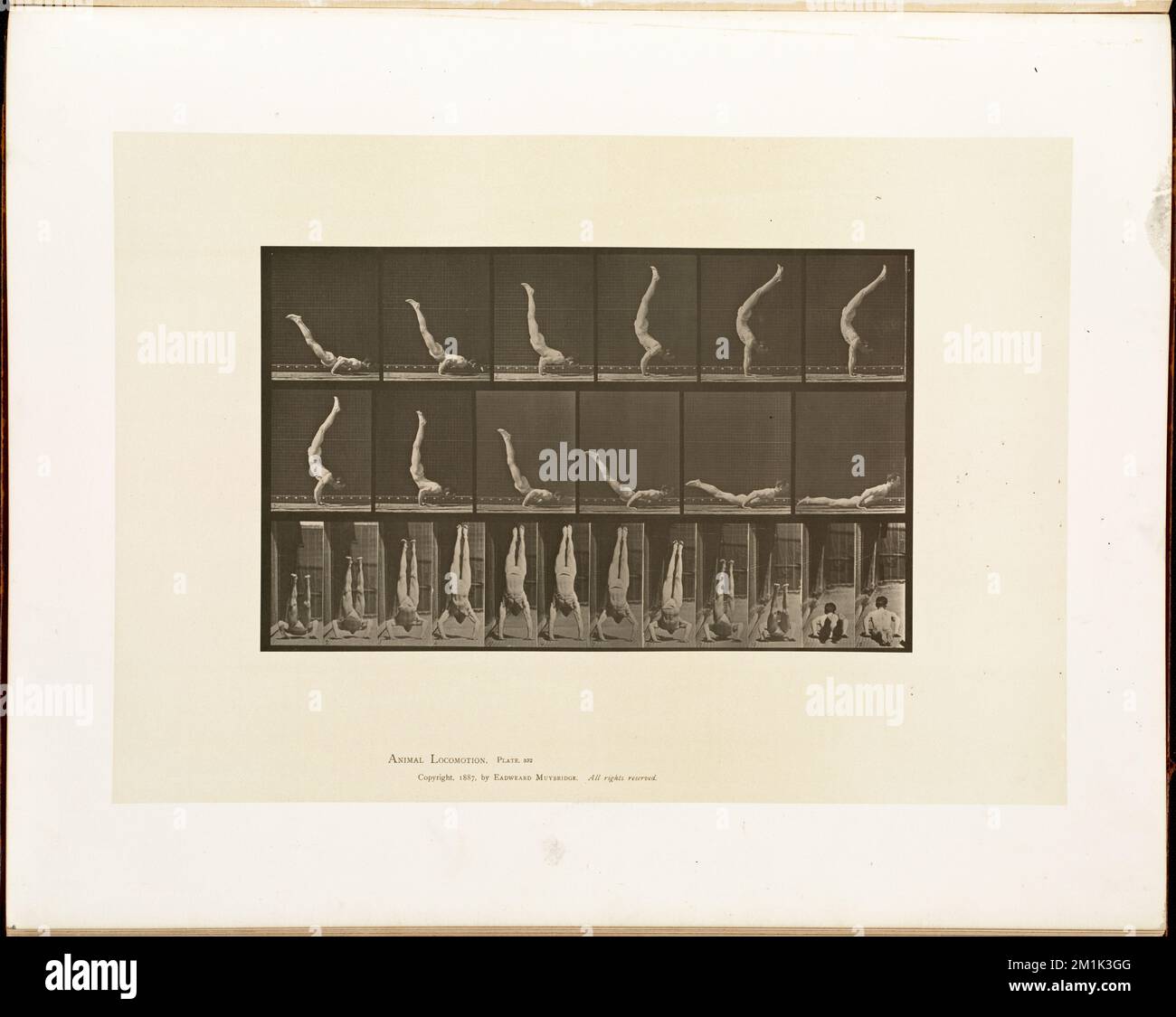 Animal locomotion. Plate 372 , Men, Acrobatics, Human locomotion, an ...