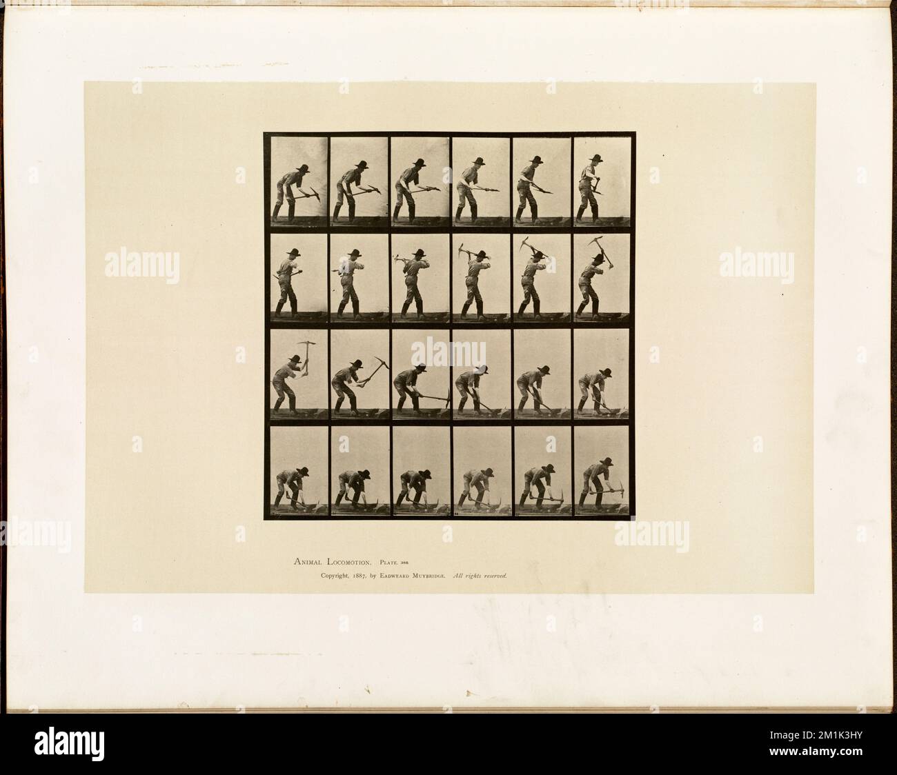 Animal locomotion. Plate 386 , Men, Digging, Human locomotion, an ...