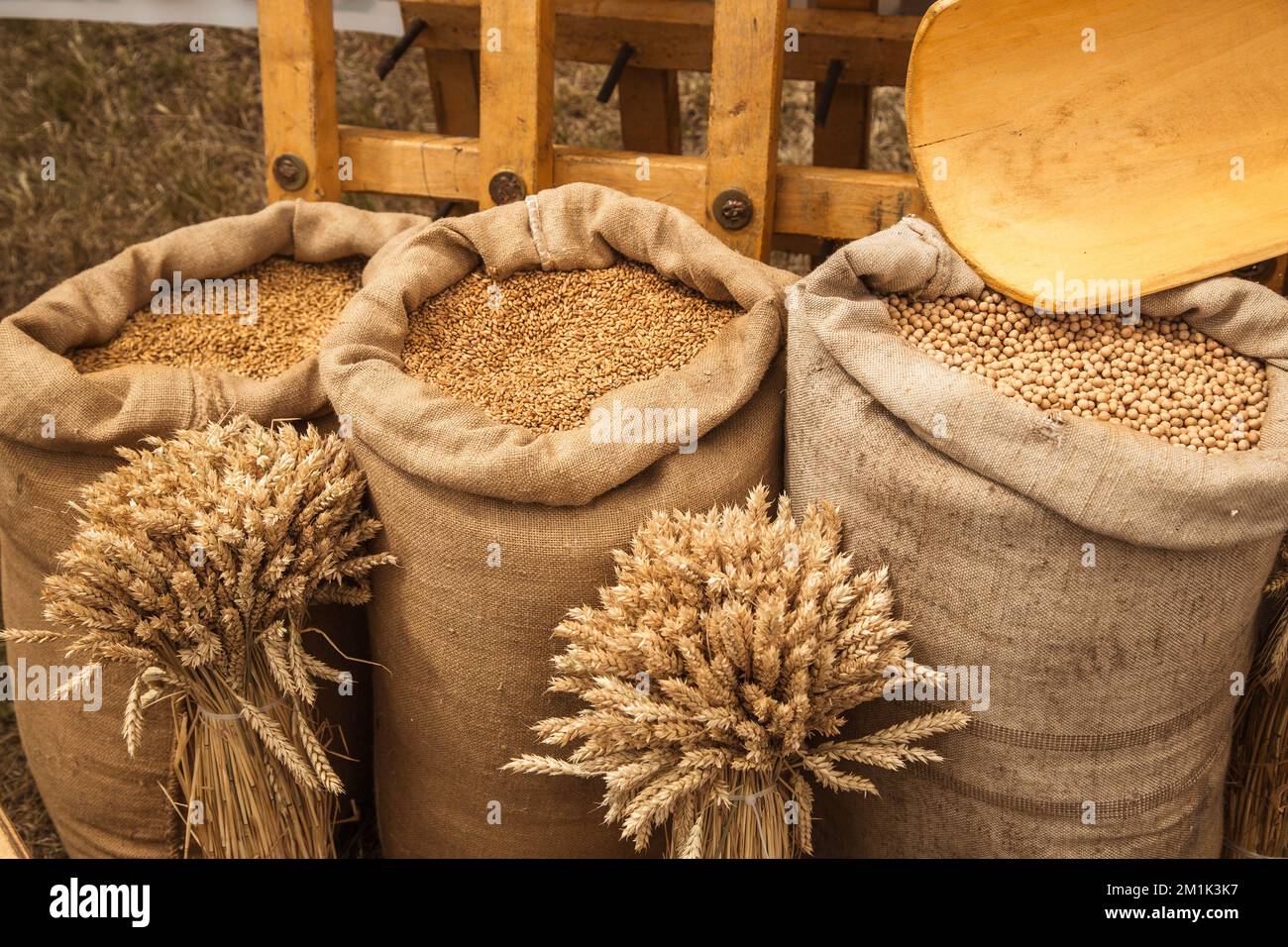 Various Grains in Bulk Sacks Farm Produce Stock Photo - Alamy