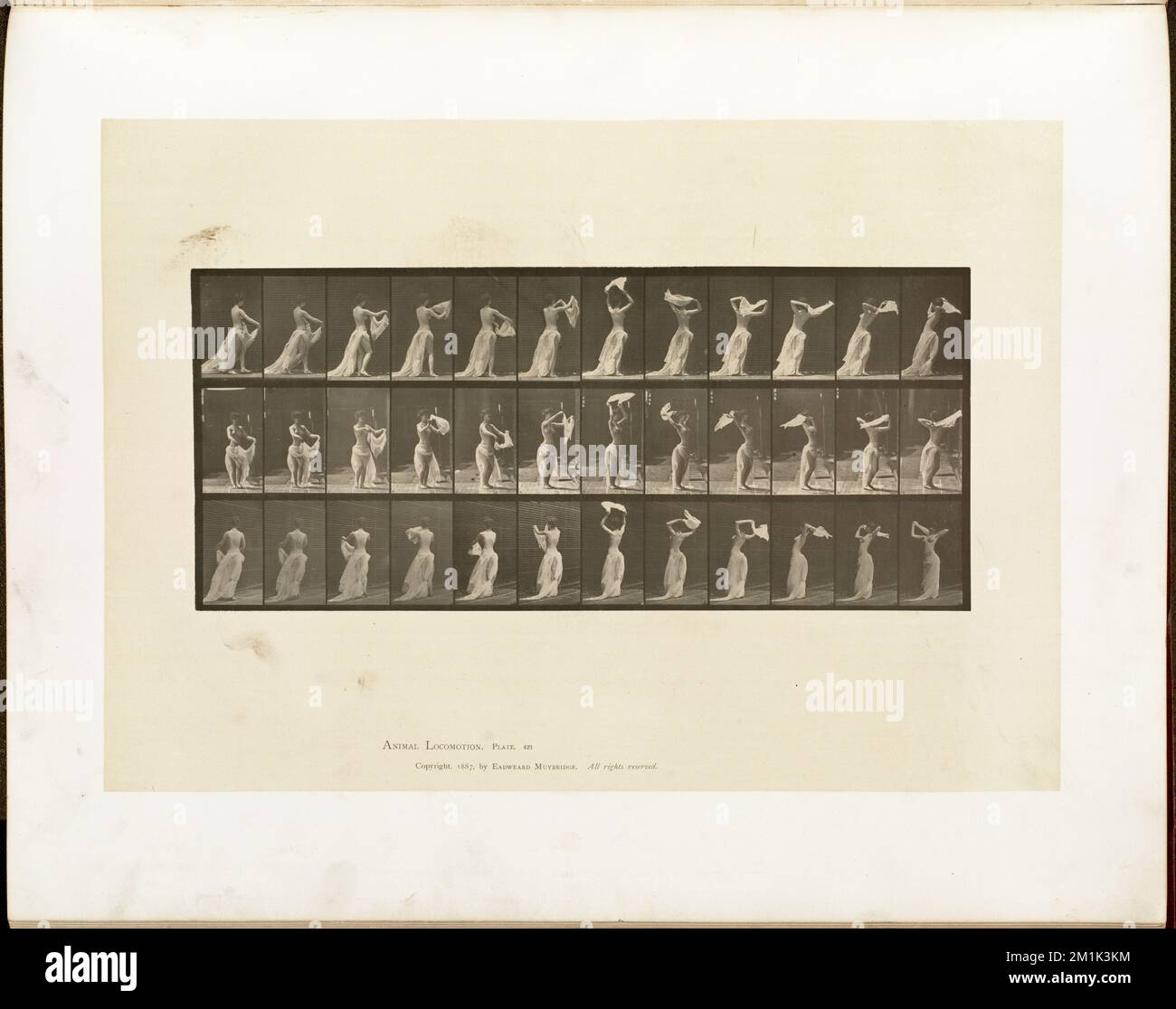 Animal locomotion. Plate 421 , Women, Grooming, Human locomotion, an ...