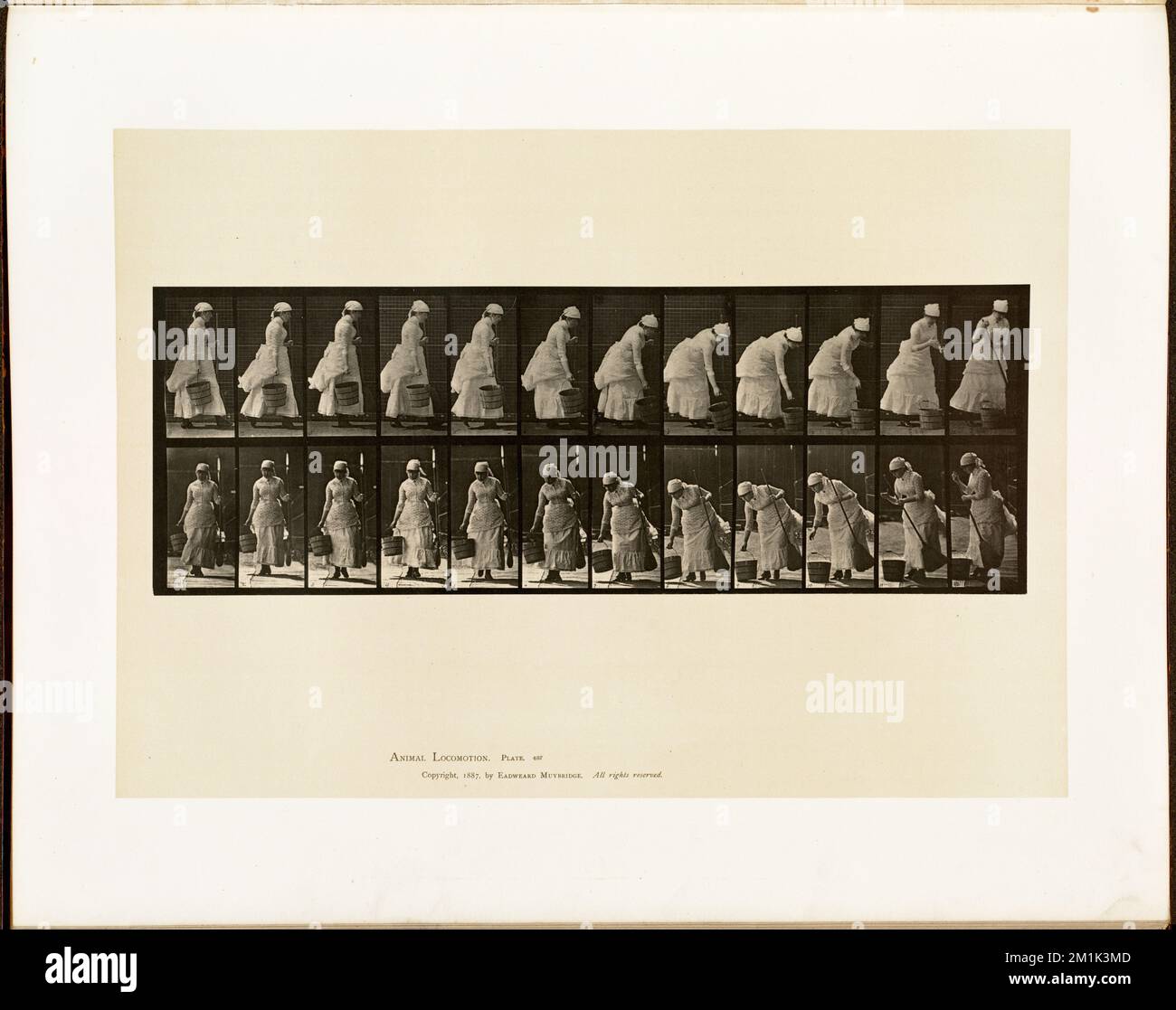 Animal locomotion. Plate 437 , Women, Lifting & carrying, Sweeping ...