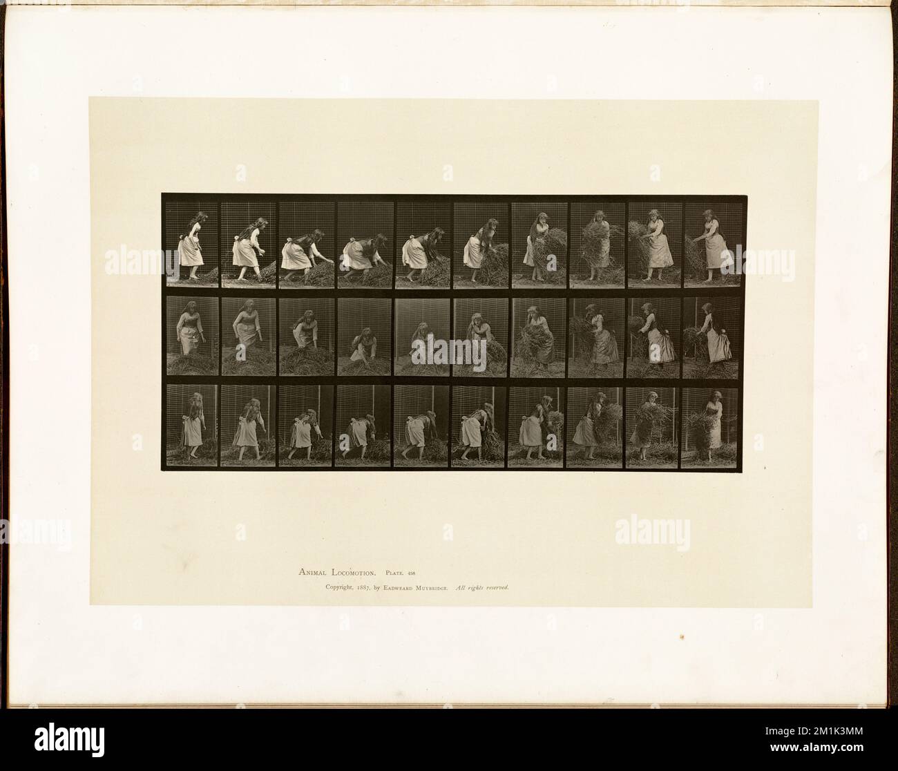 Animal locomotion. Plate 458 , Women, Lifting & carrying, Hay, Human ...