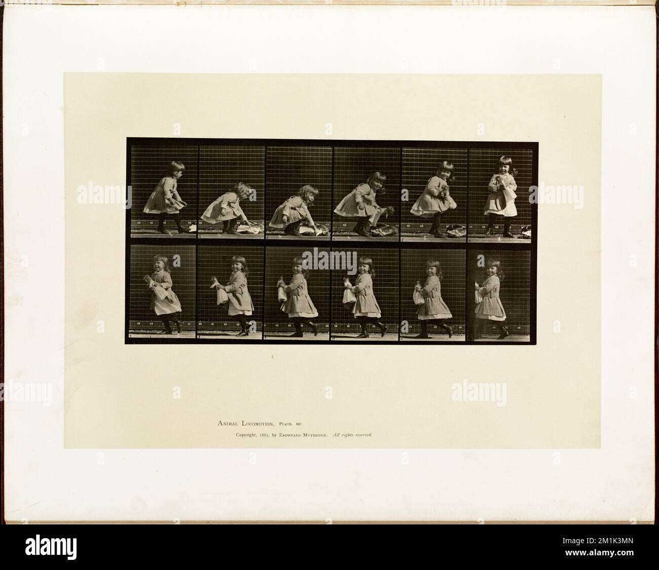 Animal locomotion. Plate 481 , Girls, Walking, Dolls, Human locomotion ...