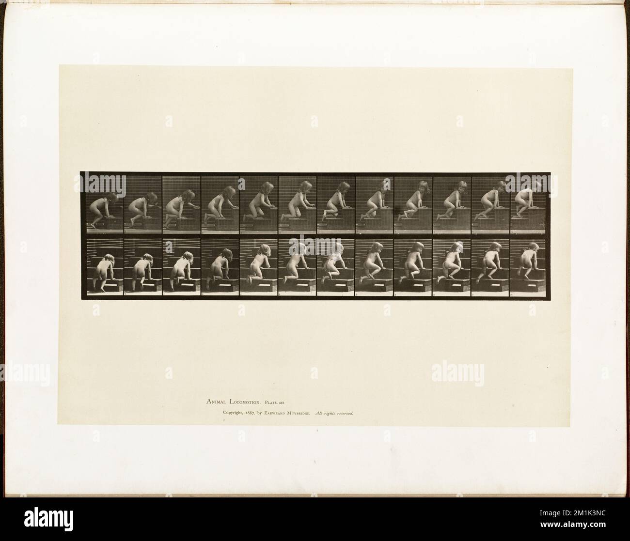 Animal locomotion. Plate 472 , Girls, Crawling & creeping, Stairways ...