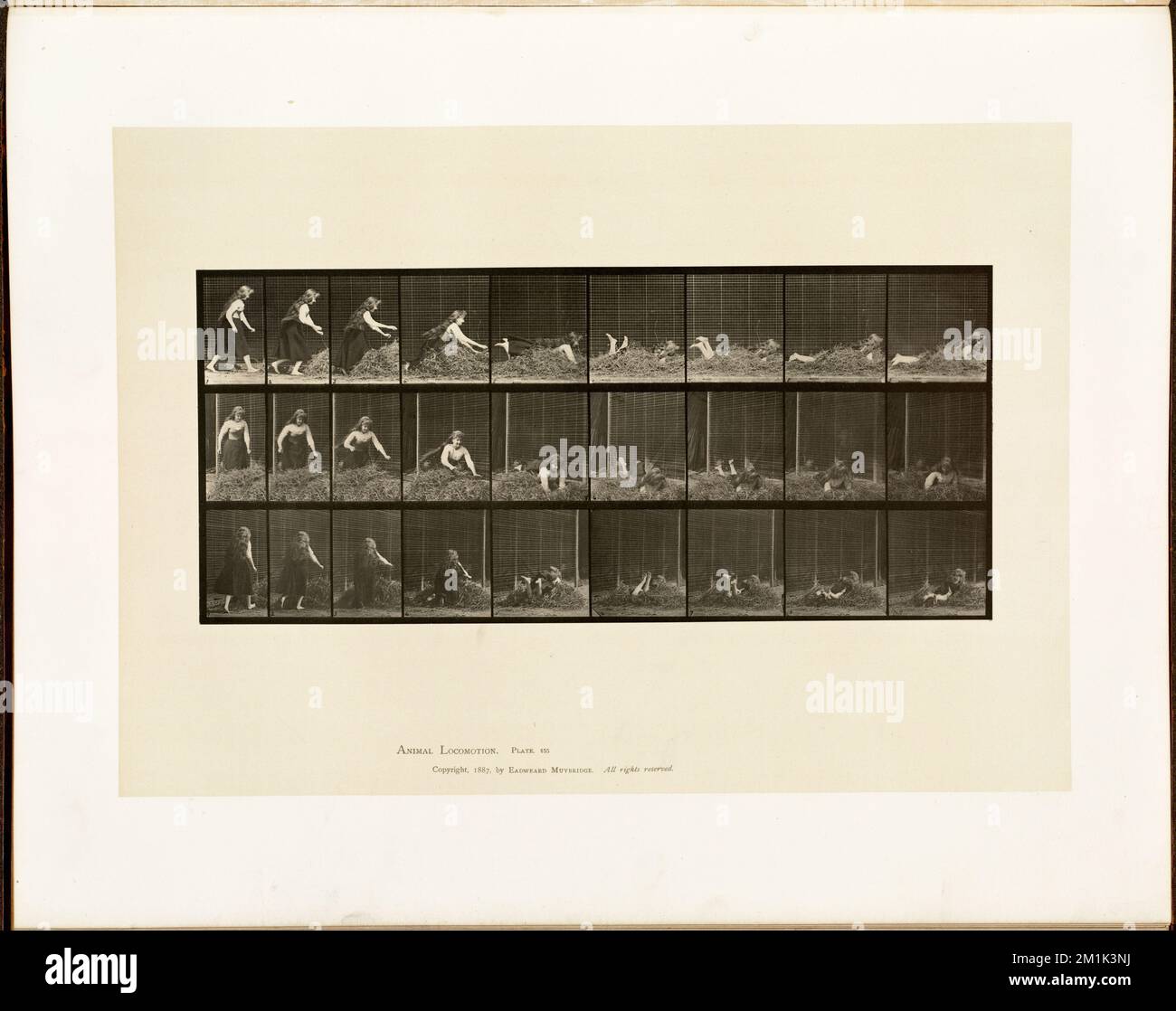 Animal locomotion. Plate 455 , Women, Hay, Human locomotion, an electro ...