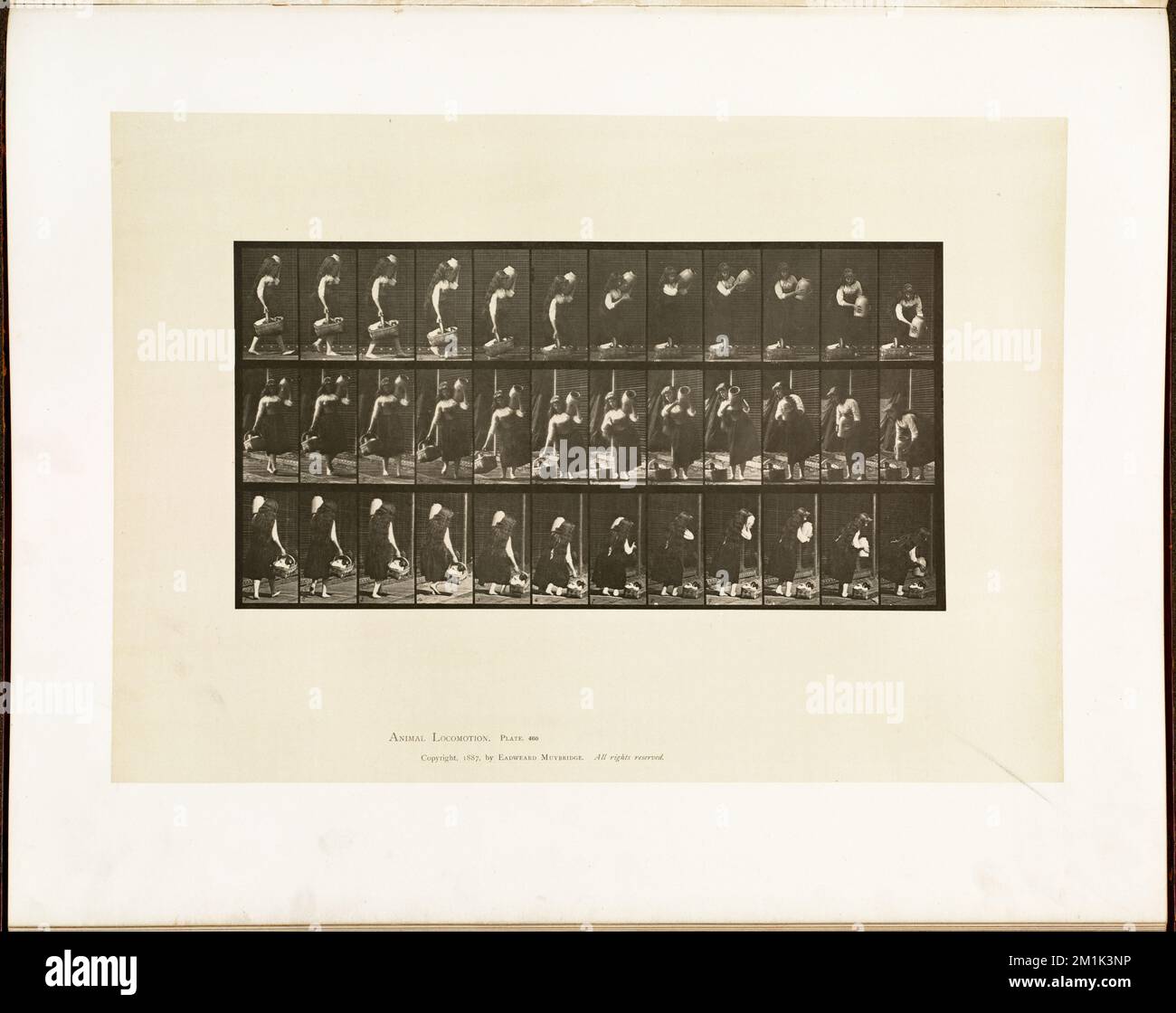 Animal locomotion. Plate 460 , Women, Lifting & carrying, Human ...