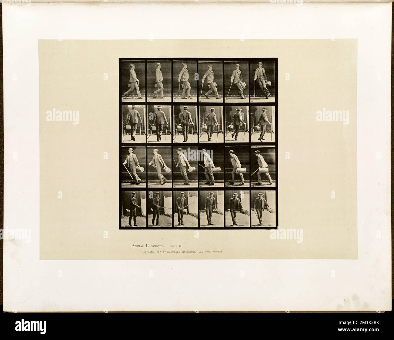 Animal locomotion. Plate 49 , Men, Walking, Staffs Sticks, Human ...