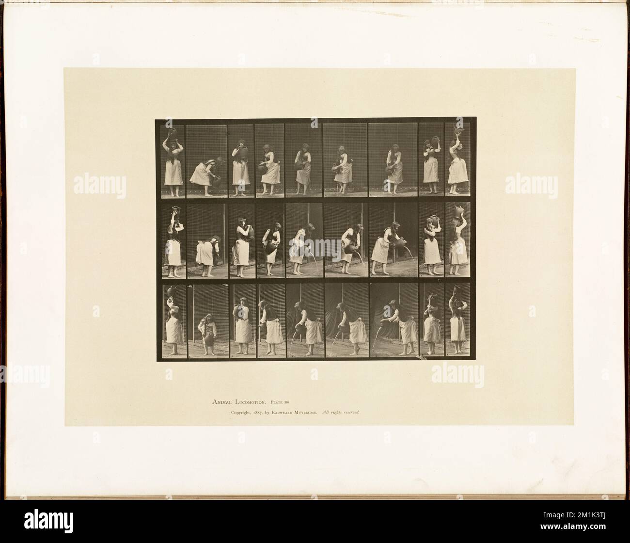 Animal locomotion. Plate 516 , Women, Lifting & carrying, Human ...