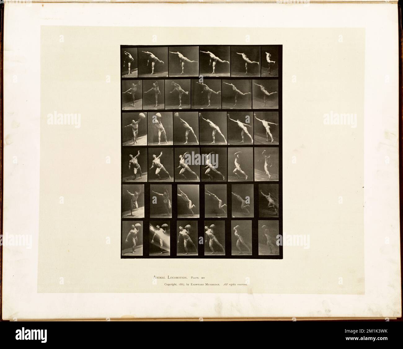 Animal locomotion. Plate 523 , Men, Throwing, Discus throwing, Human ...