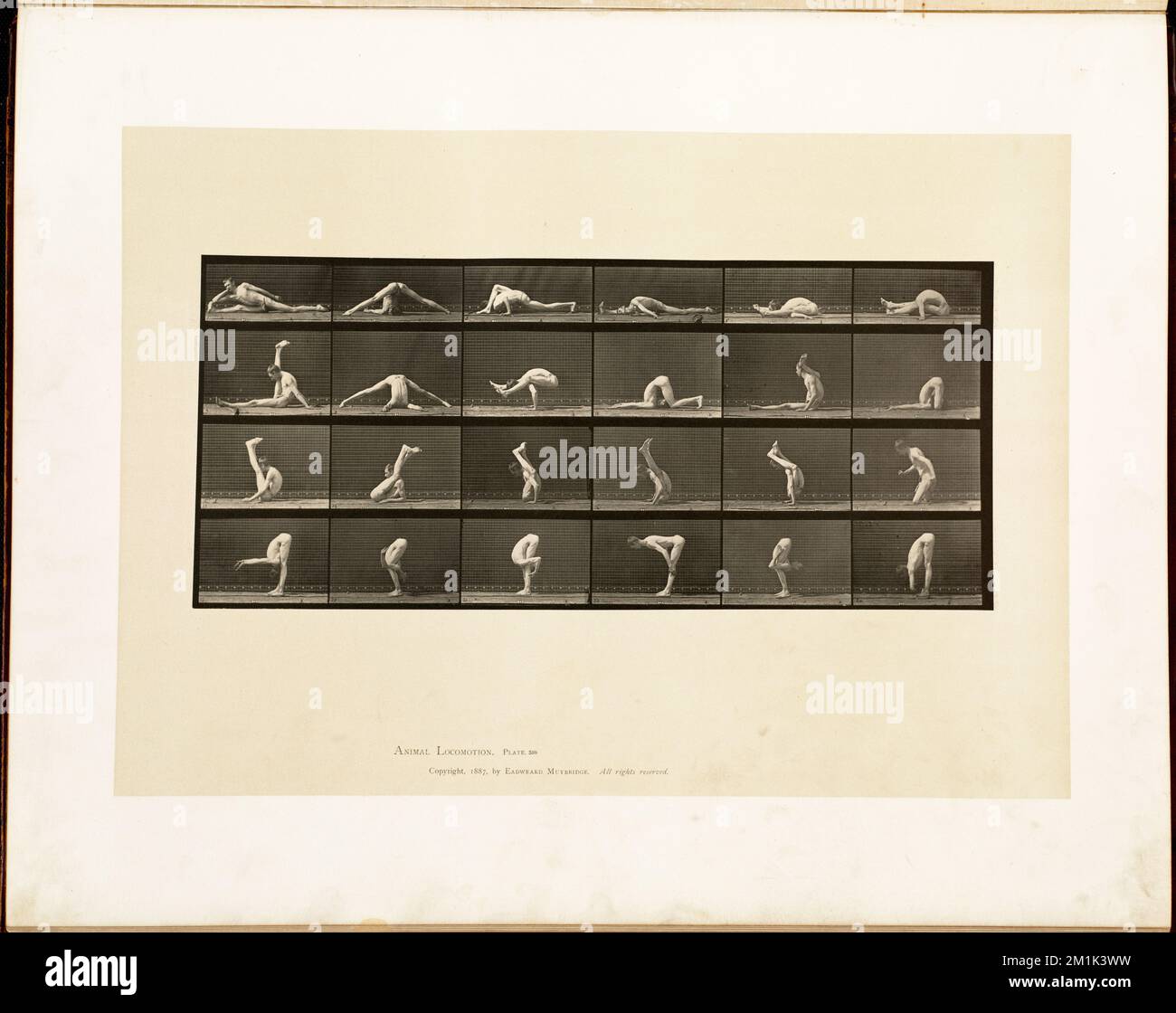 Animal locomotion. Plate 510 , Men, Contorting, Human locomotion, an ...