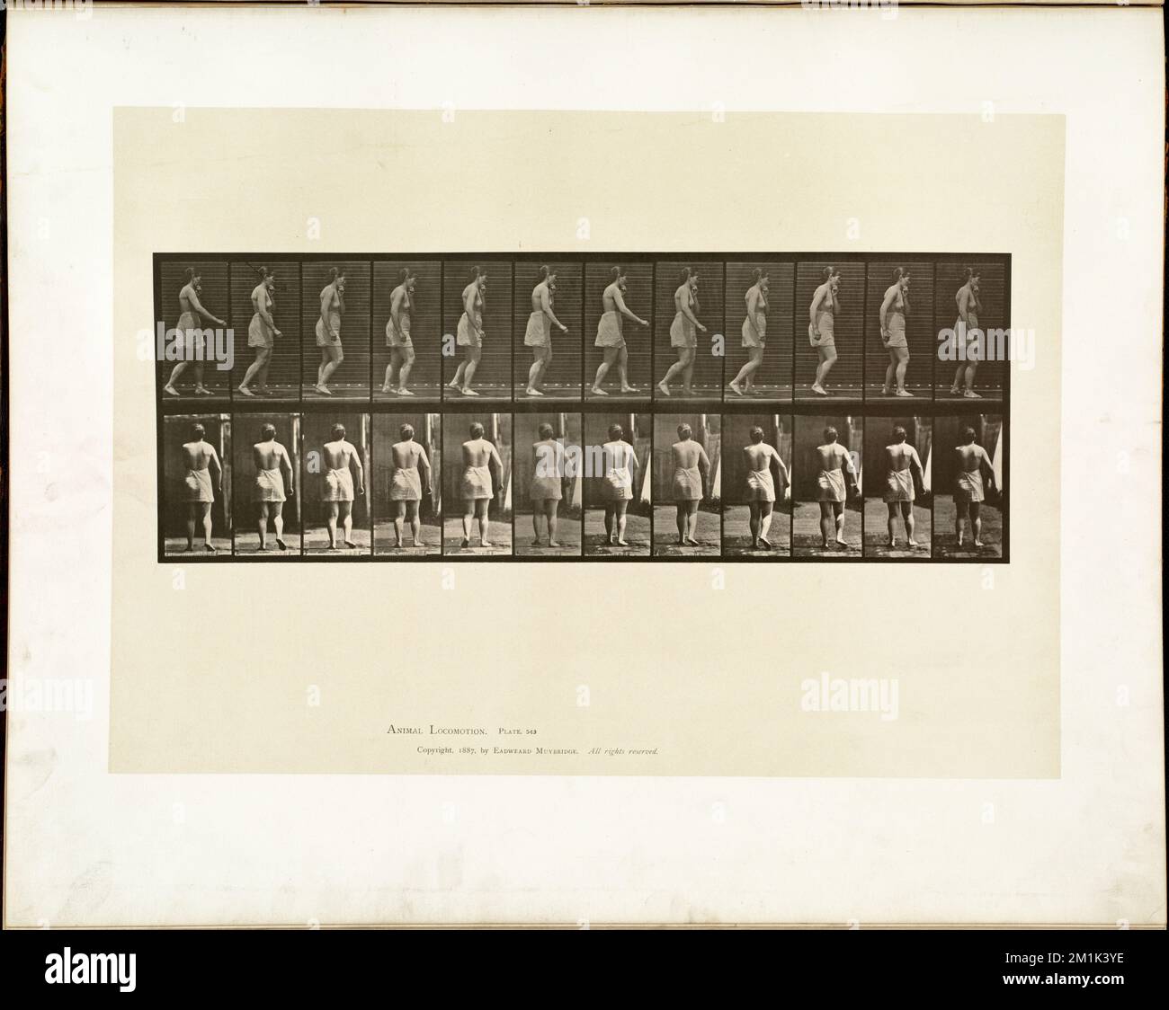 Animal locomotion. Plate 543 , Women, Walking, Human locomotion, an ...