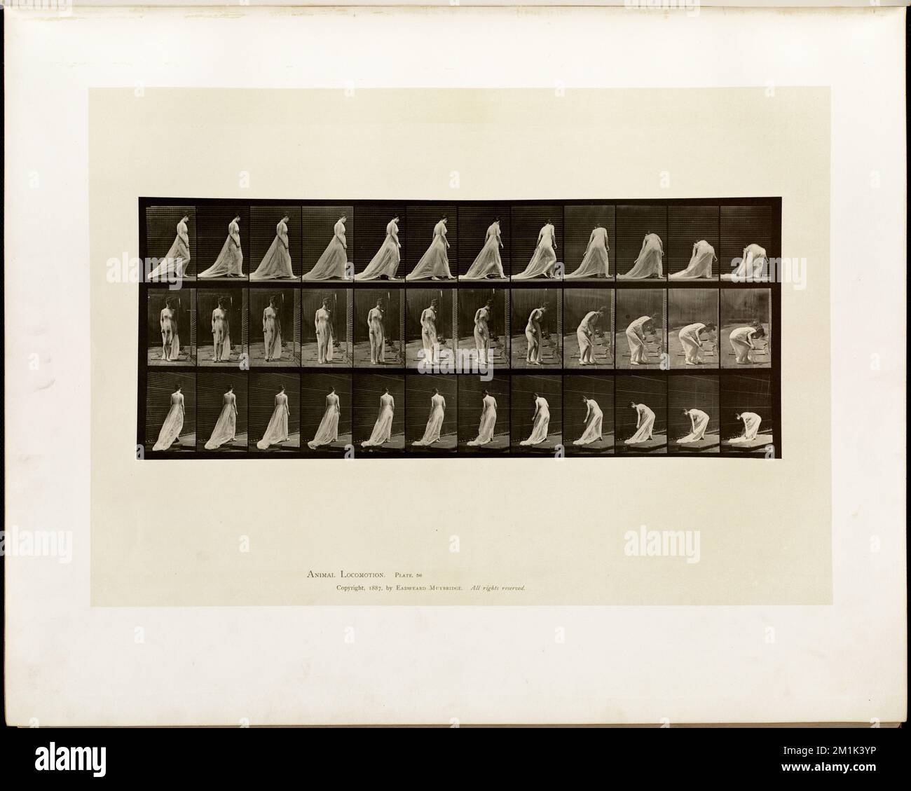 Animal locomotion. Plate 56 , Women, Walking, Human locomotion, an ...