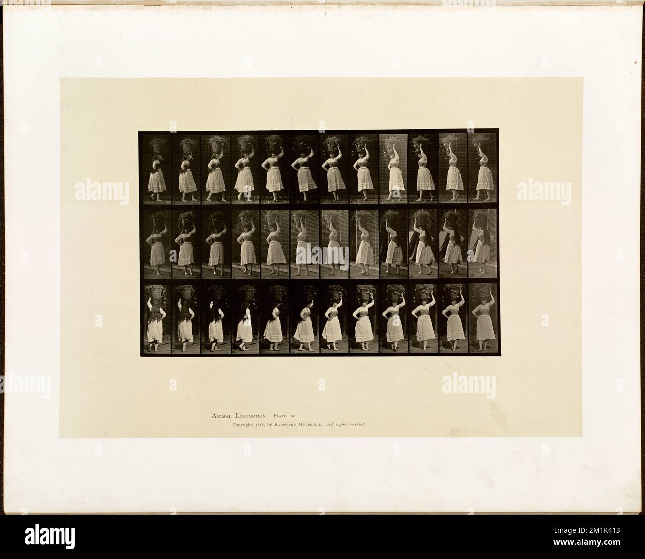 Animal locomotion. Plate 57 , Women, Lifting & carrying, Walking, Human ...