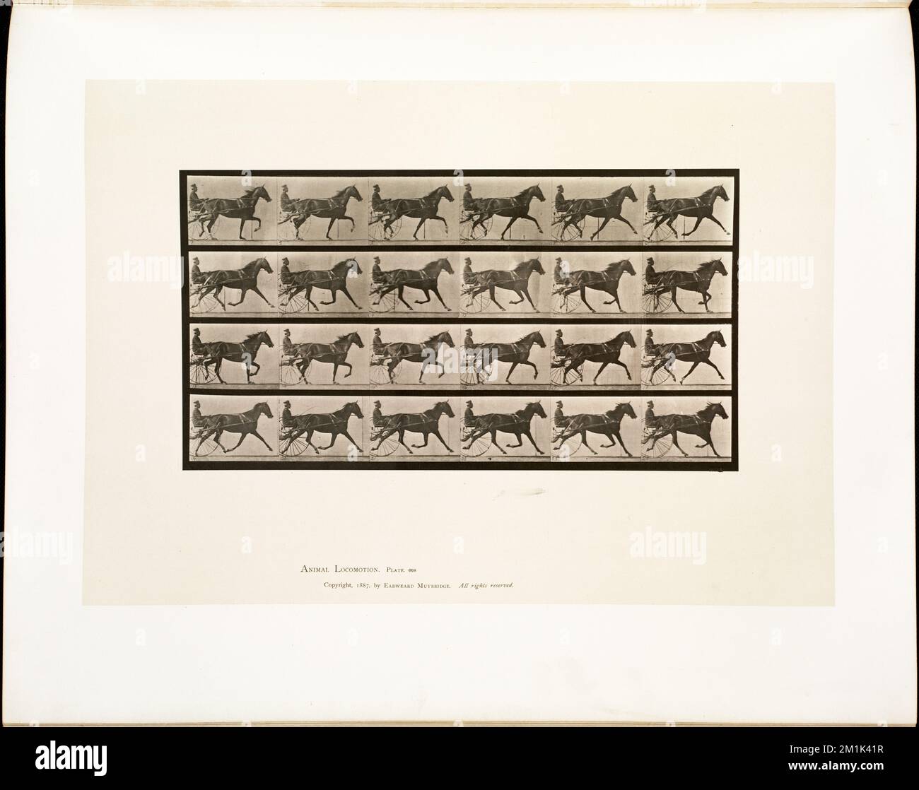 Animal locomotion. Plate 608 , Horses, Pony carts, Animal locomotion ...