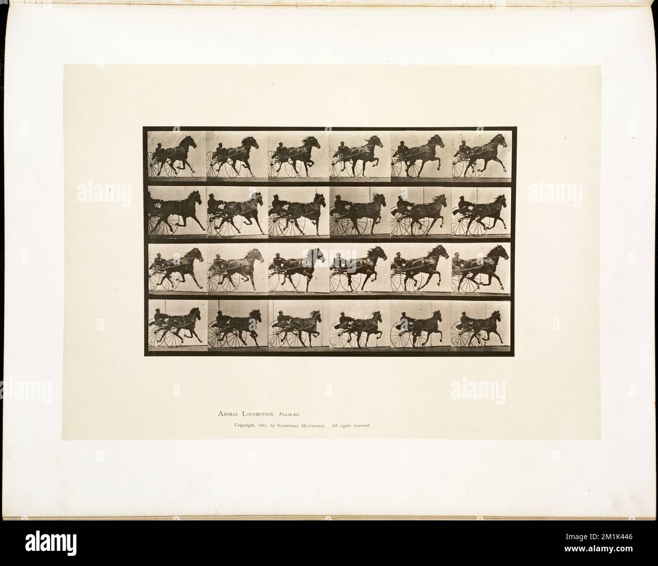 Animal locomotion. Plate 613 , Horses, Pony carts, Animal locomotion ...