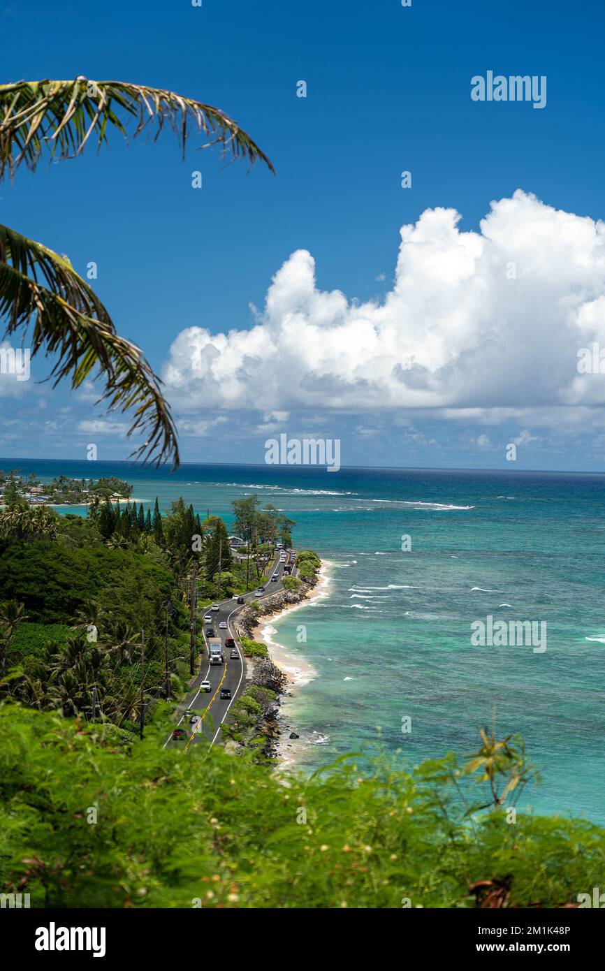 An aerial view of sea waves breaking greenery beach with growing trees ...