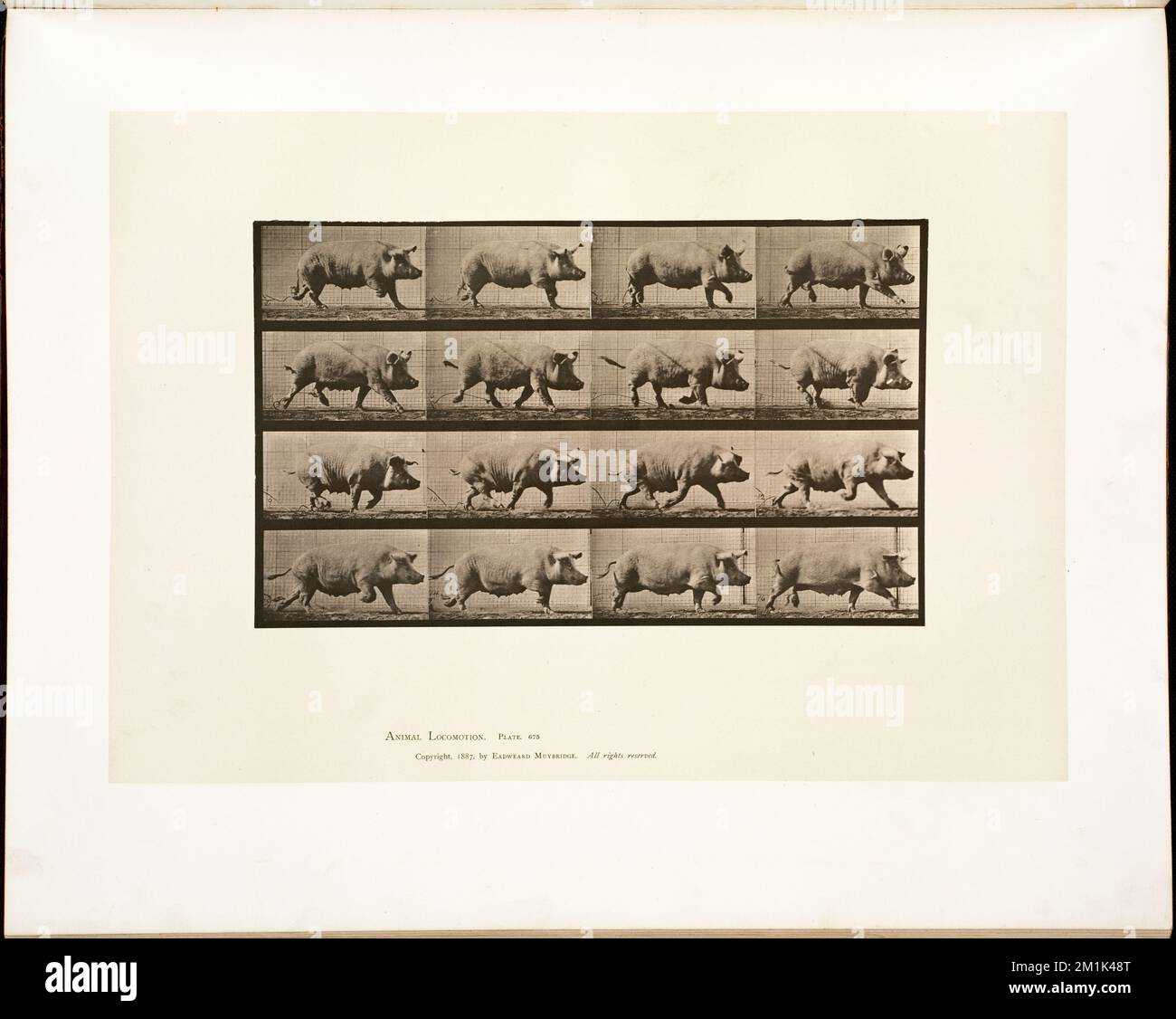 Locomotion works hi-res stock photography and images - Alamy