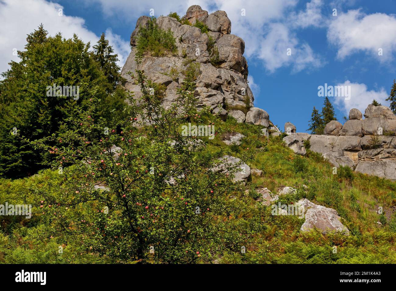 The remains of the old fortress, a unique monument of history ...