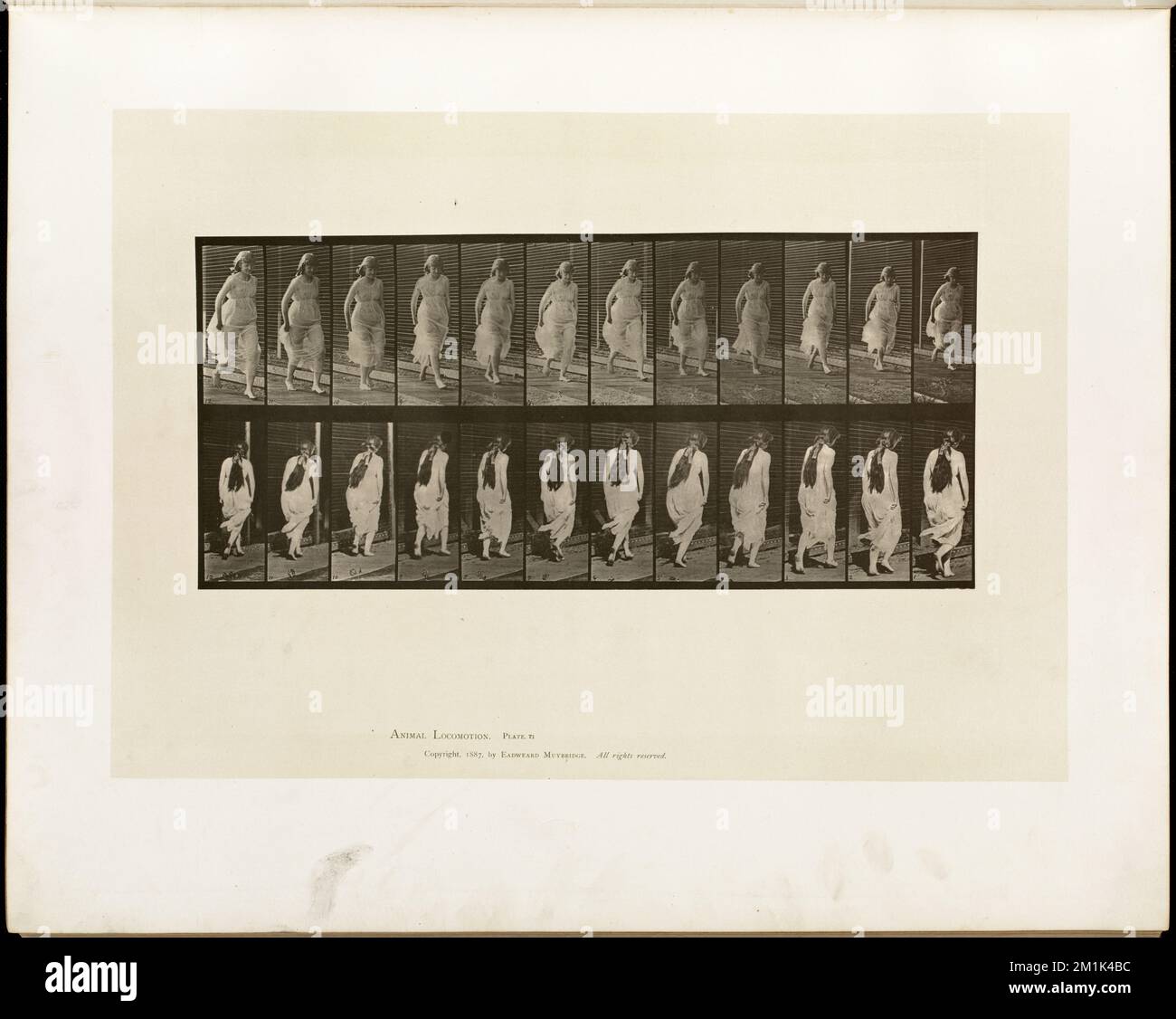 Animal locomotion. Plate 71 , Women, Running, Human locomotion, an ...