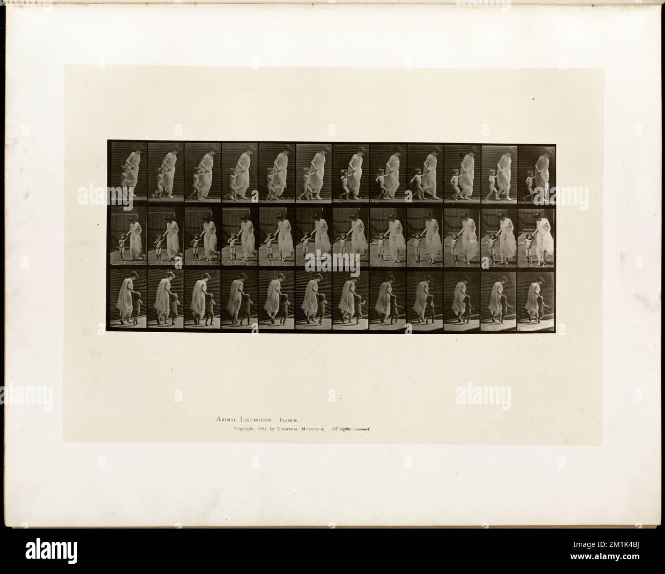 Animal locomotion. Plate 72 , Women, Girls, Running, Human locomotion ...