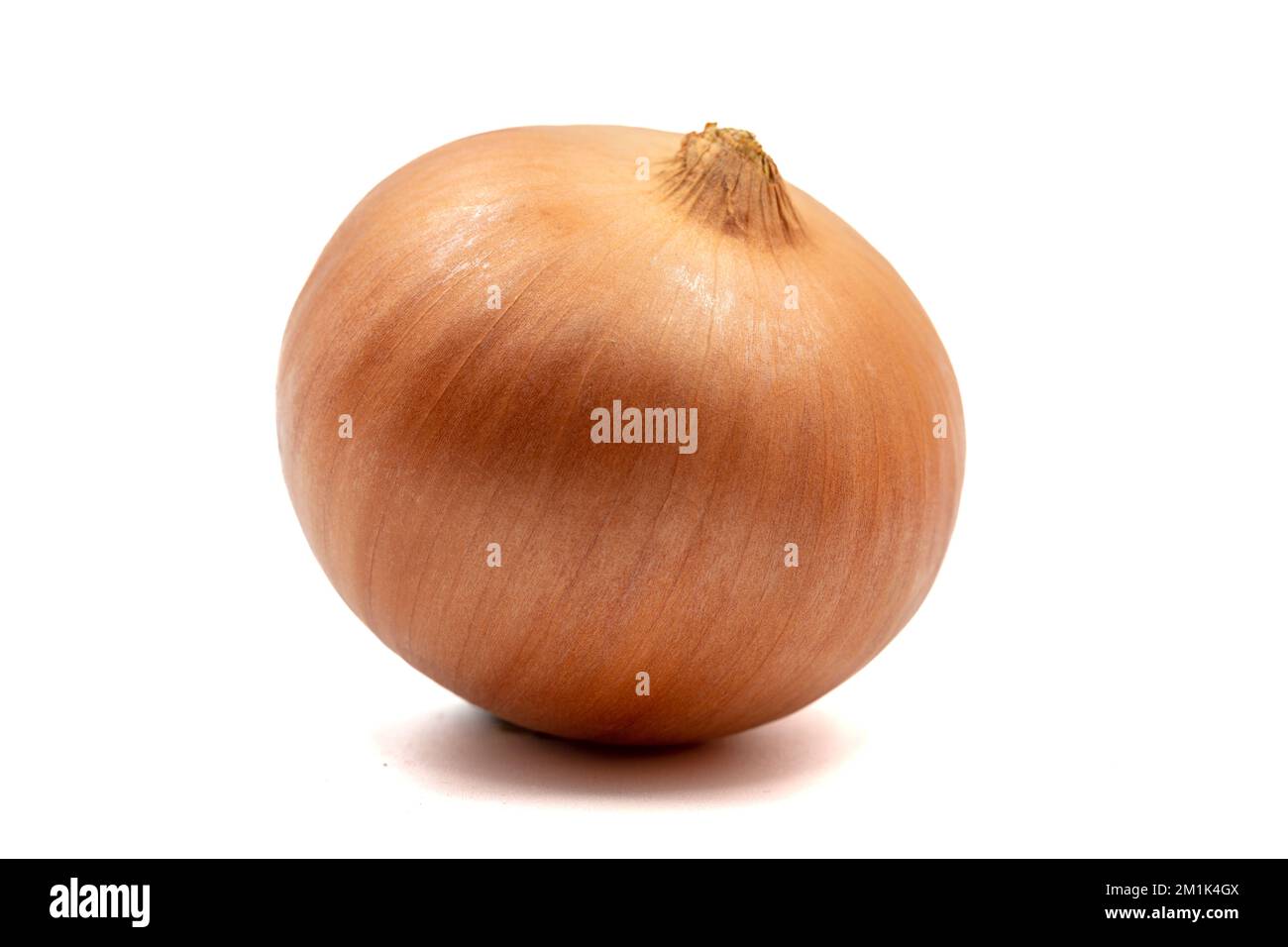 Ripe yellow onion isolated on a white background. organic onions ...