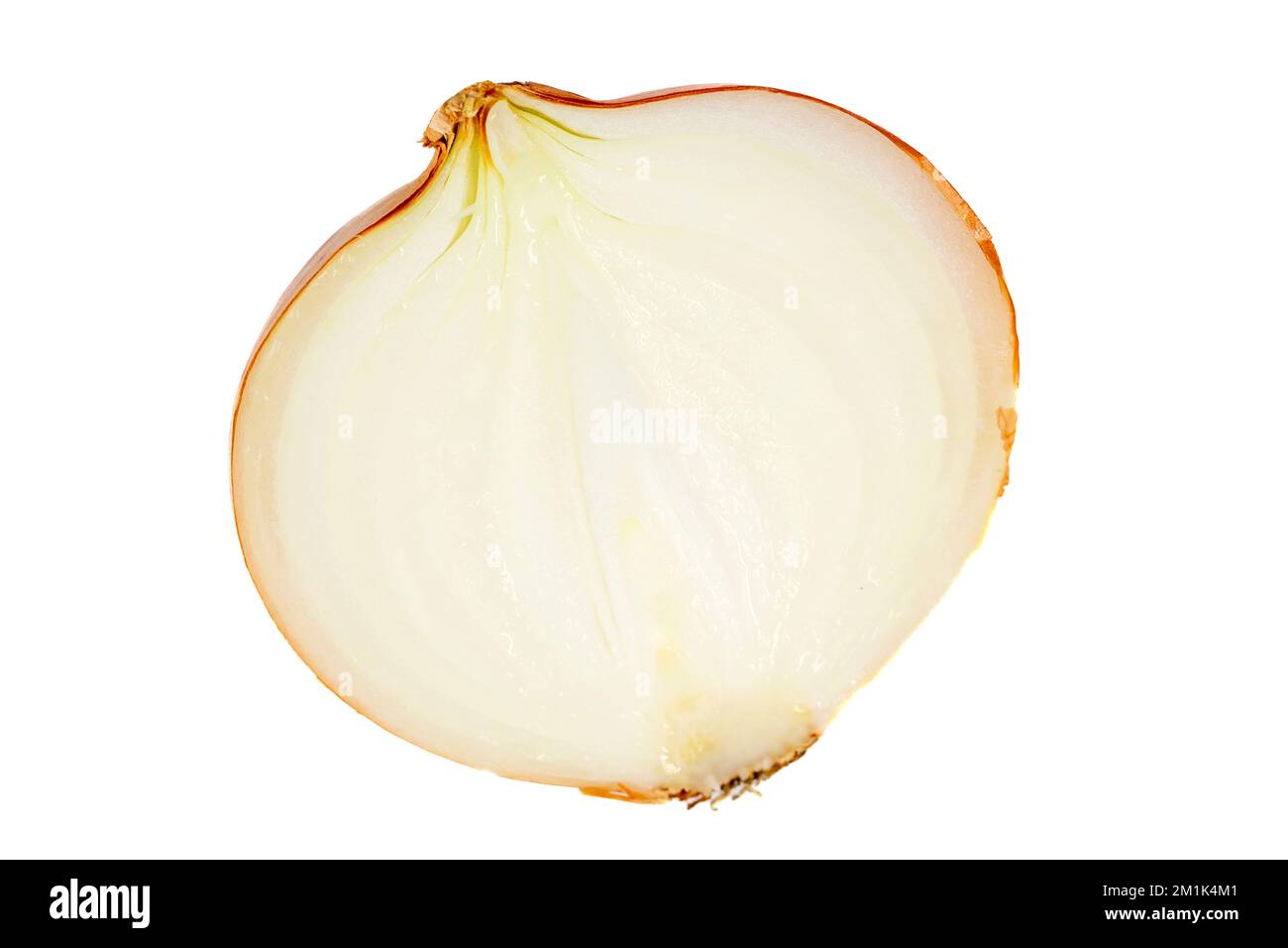 Ripe yellow onion isolated on a white background. Onion slices cut in ...