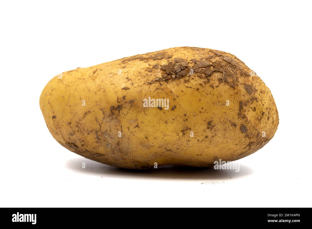 Potato isolated on a white background. Organic potatoes. clipping path ...