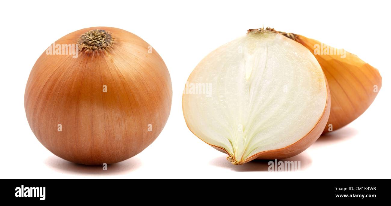 Set of onions images. Onion bulbs isolated. Whole golden onion bulb and ...