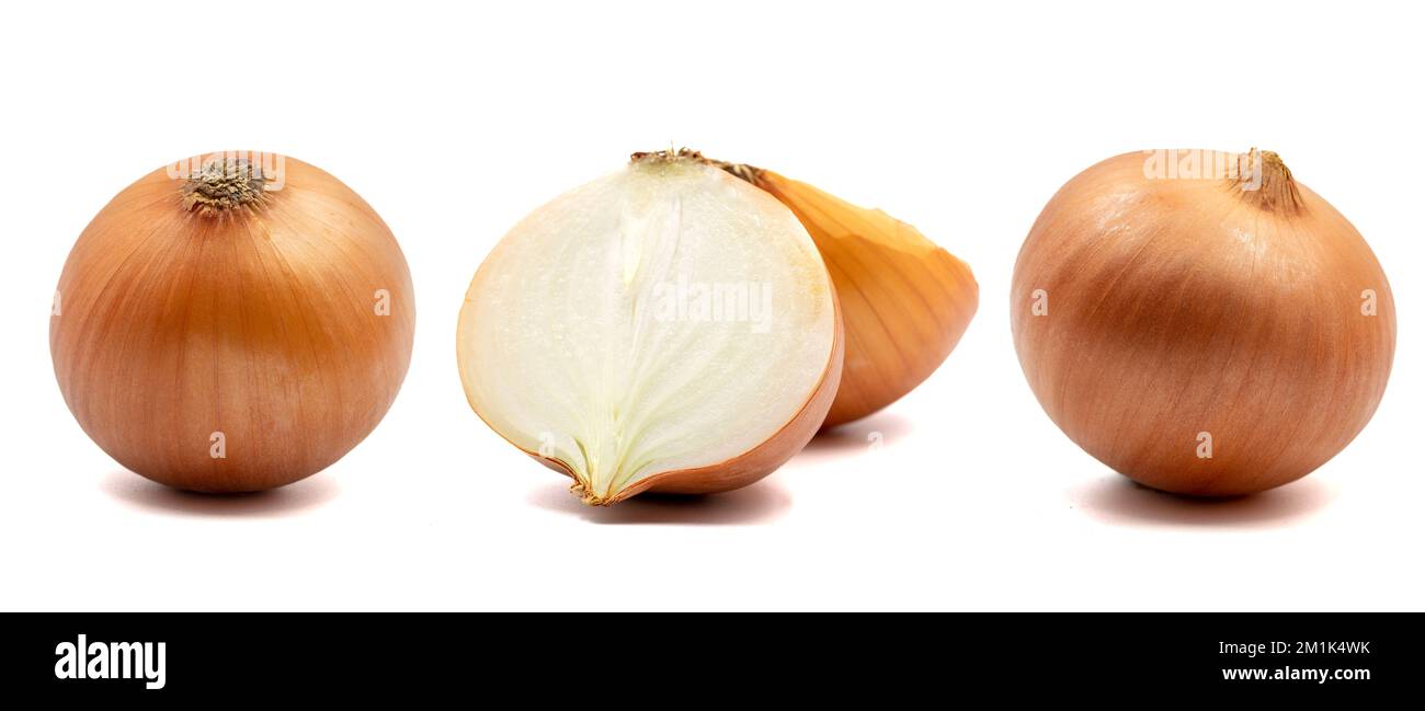 Set of onions images. Onion bulbs isolated. Whole golden onion bulb and ...