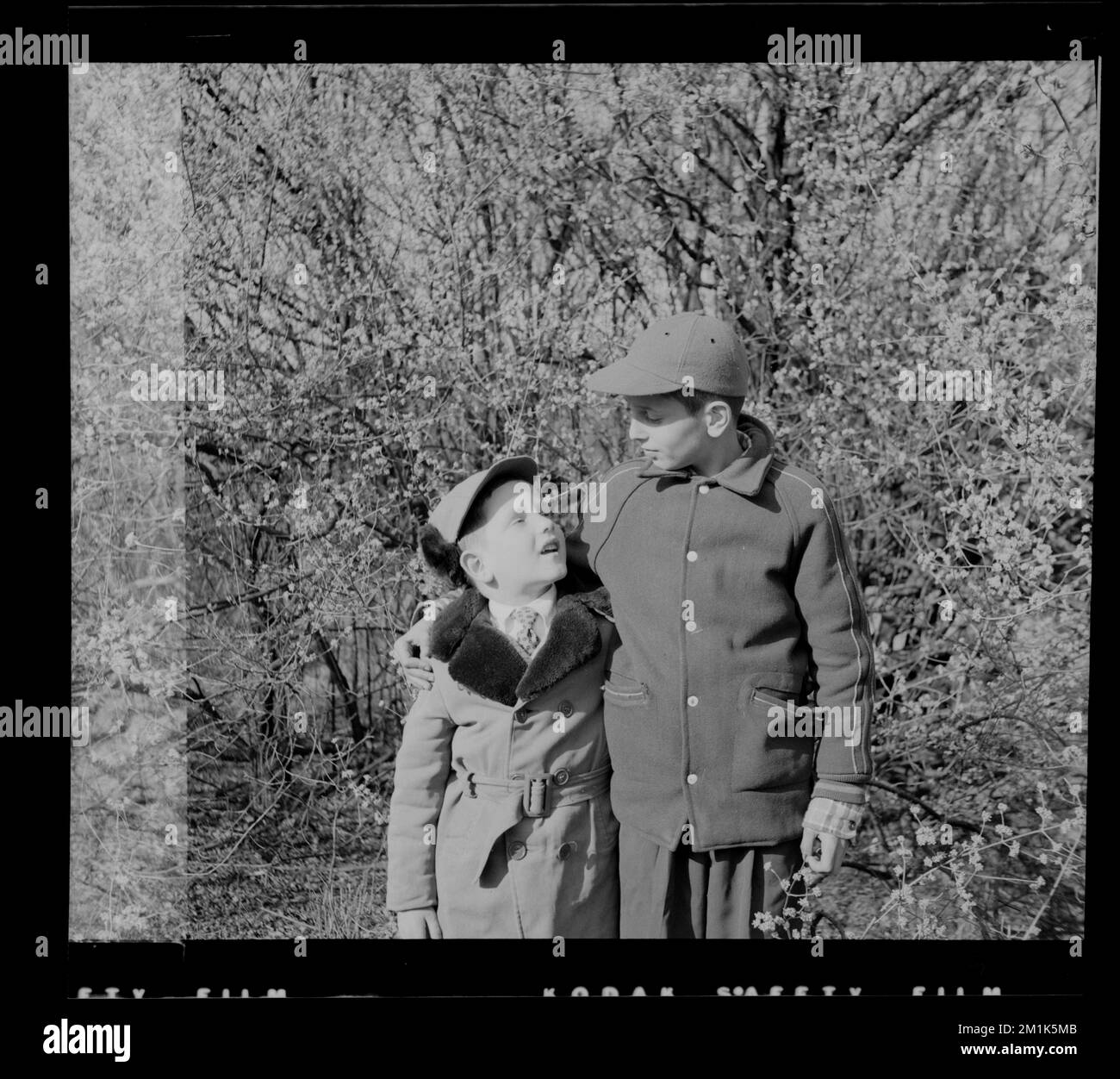Anthony Fiorillo, Peter Jones , Boys, Trees. Leon Abdalian Collection ...
