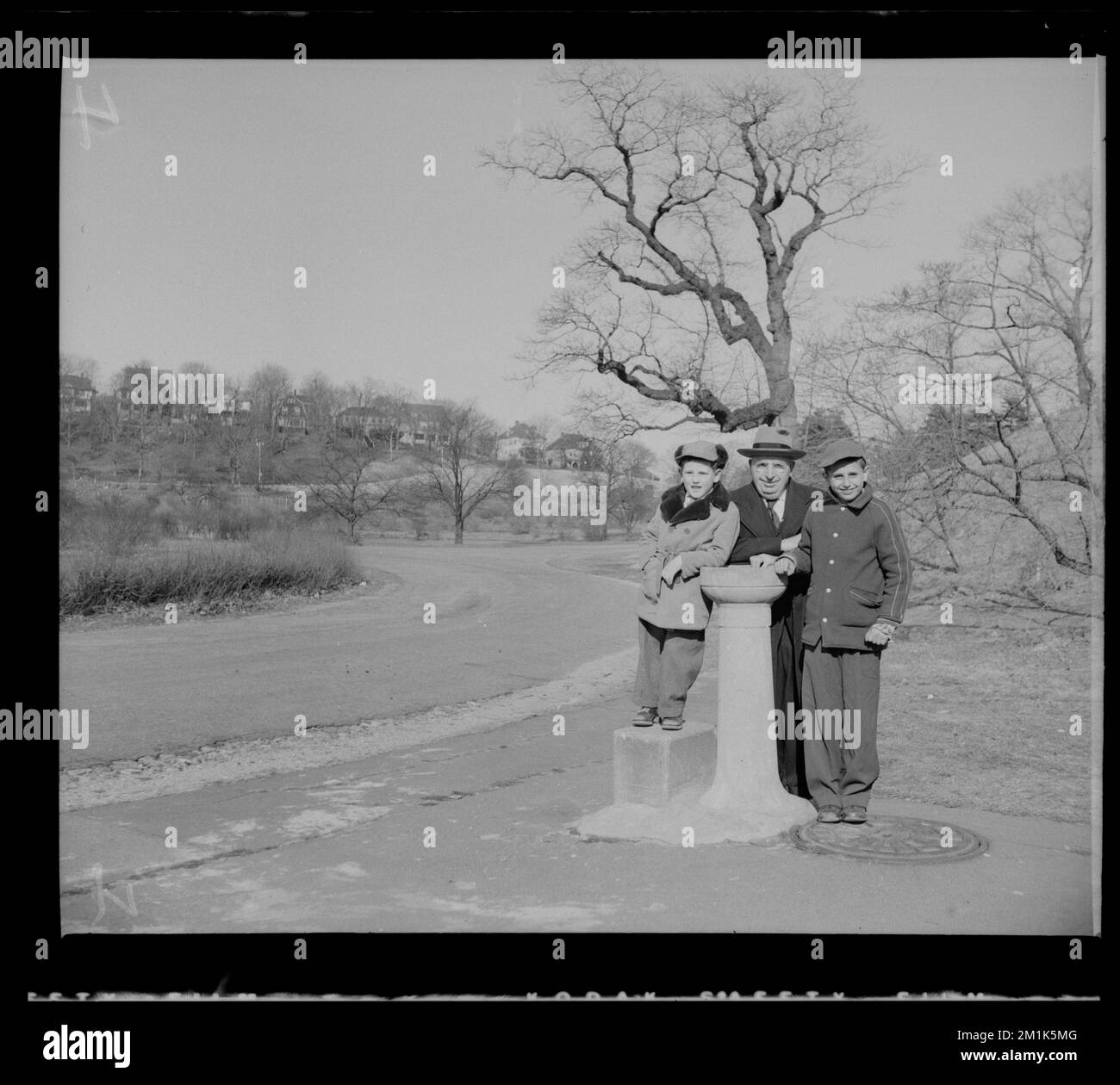 Anthony Fiorillo, Peter Jones, [Leon Abdalian] , Boys, Trees ...