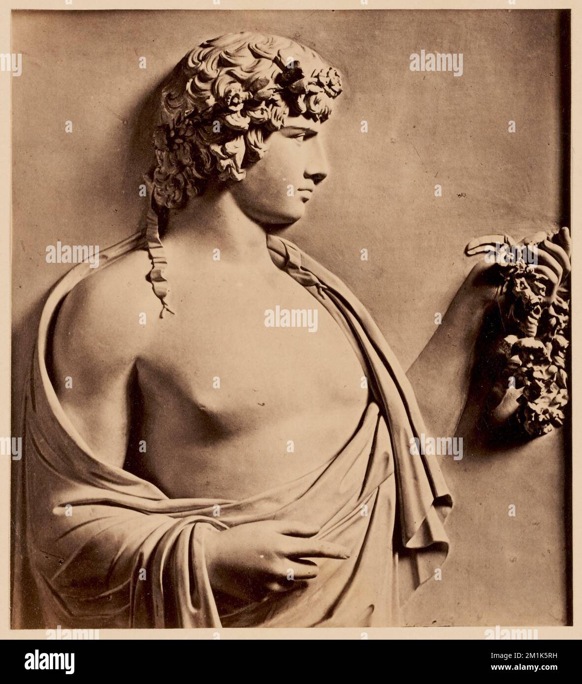 Albani collection hi-res stock photography and images - Alamy