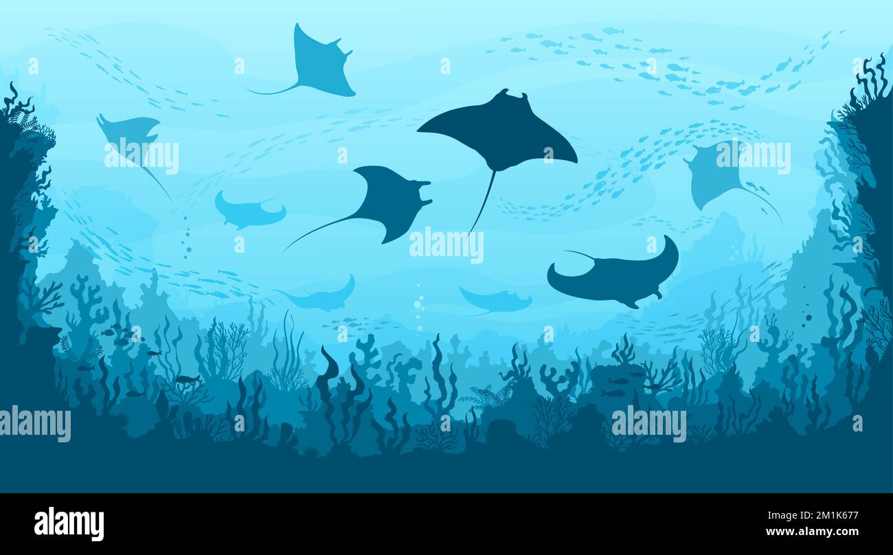 Underwater landscape, manta and fish shoal, corals and seaweeds, vector ...