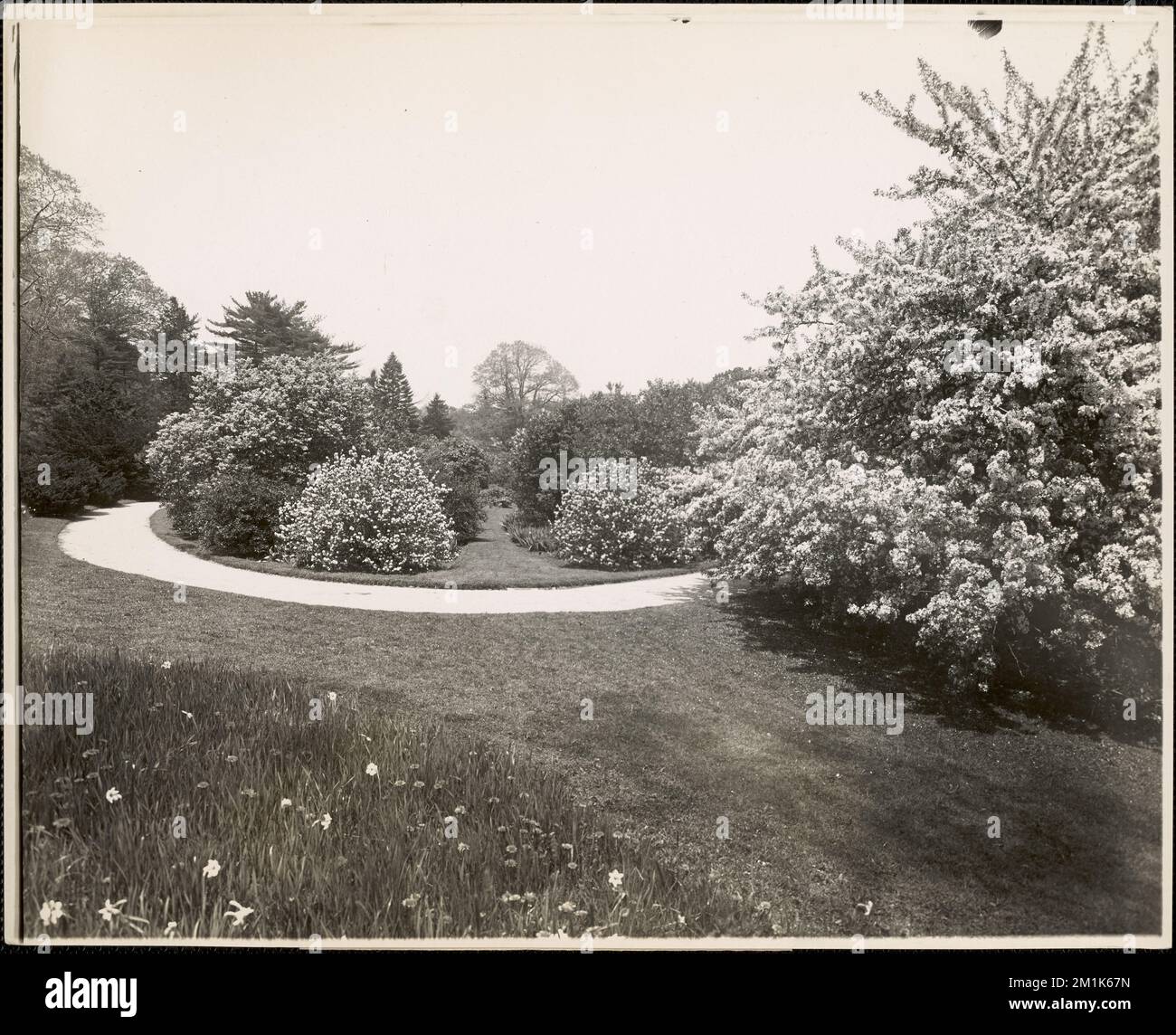 Estate flowers hi-res stock photography and images - Alamy