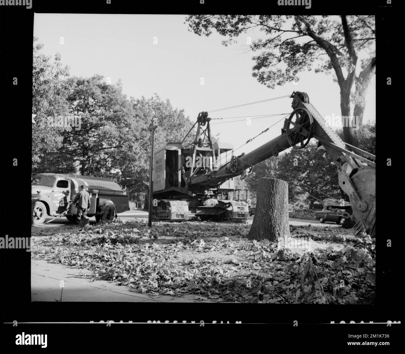 Arborway tree roots , Excavation, Machinery, Tree stumps. Leon Abdalian ...