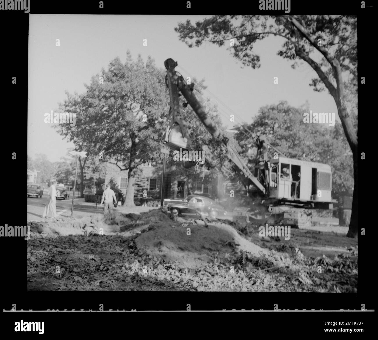Arborway tree roots , Excavation, Machinery, Trees. Leon Abdalian ...