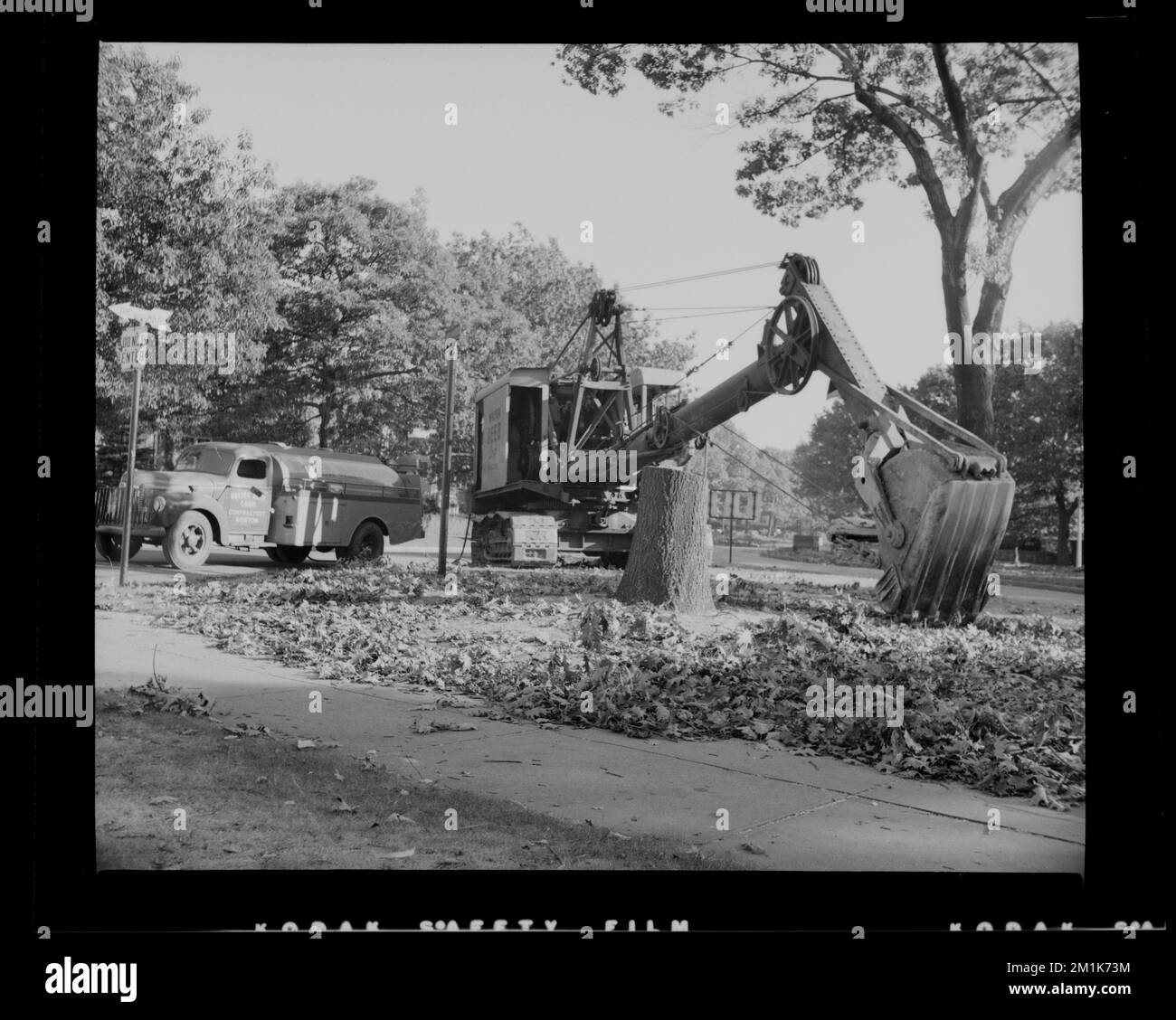 Arborway tree roots , Excavation, Machinery, Tree stumps, Trees. Leon ...