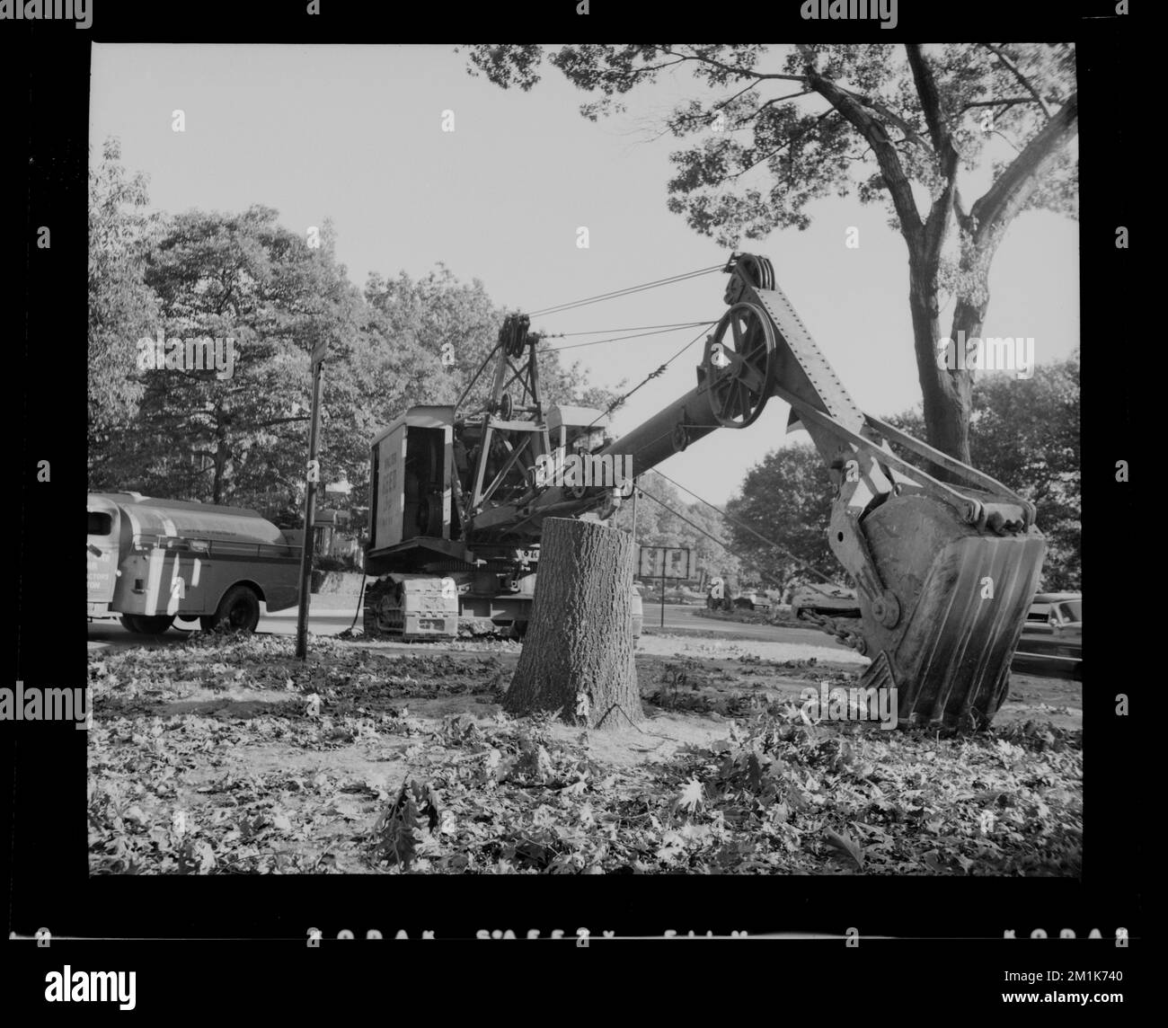 Arborway tree roots , Excavation, Machinery, Tree stumps, Trees. Leon ...
