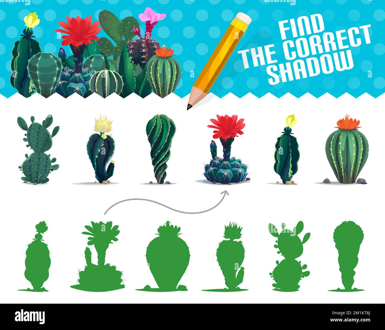 Find a correct shadow of cactus succulent. Maze game worksheet. Kids ...