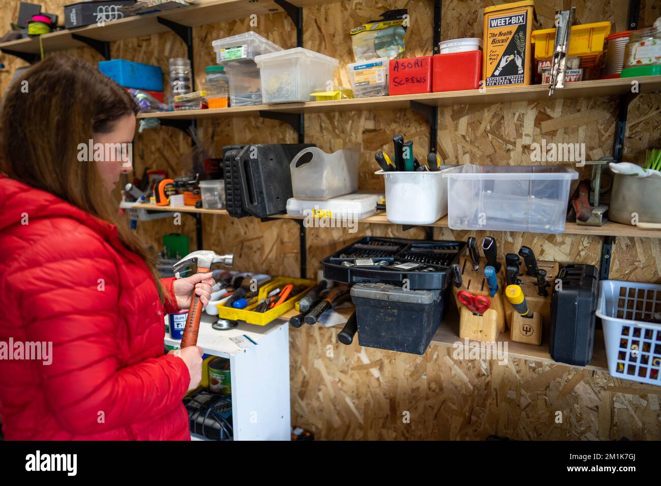 female builder in her home workshop in america making Stock Photo - Alamy