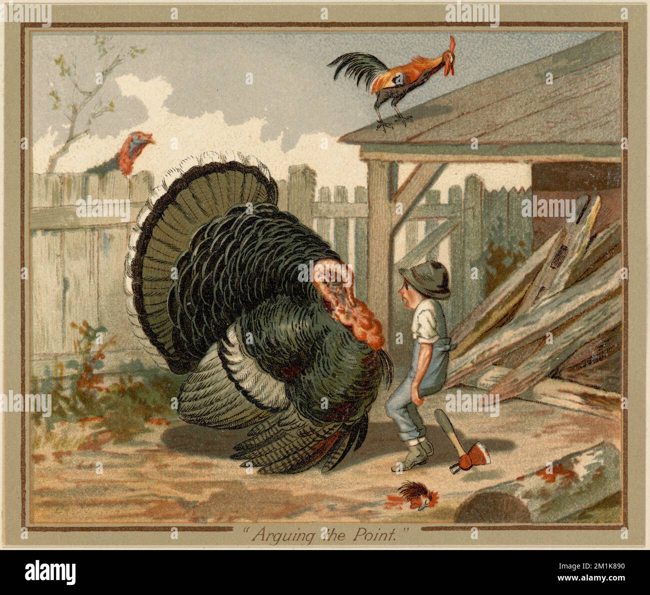 Turkeys collection hi-res stock photography and images - Alamy