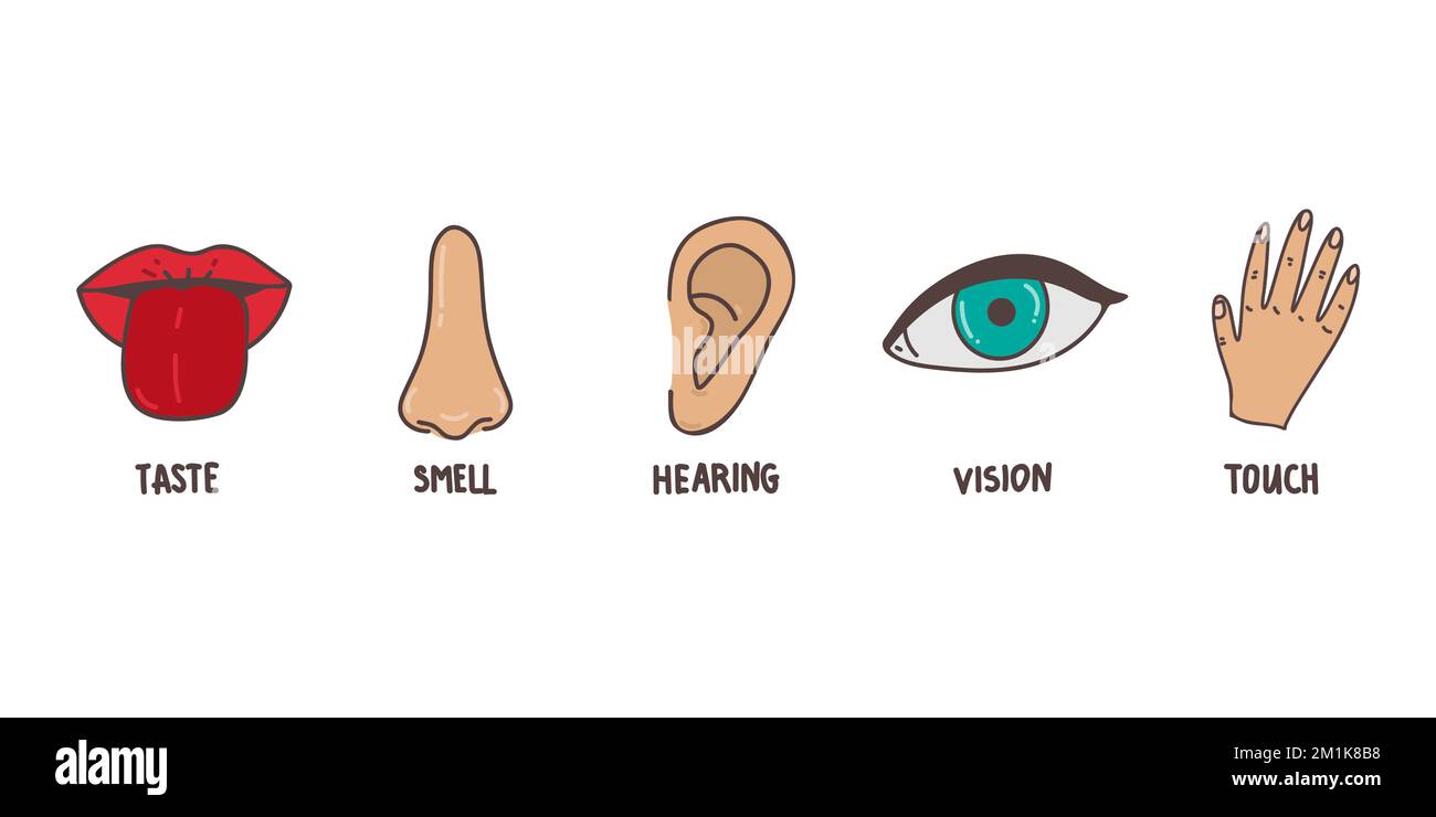 Five human senses line icons set. Vision, smell, hearing, touch, taste ...