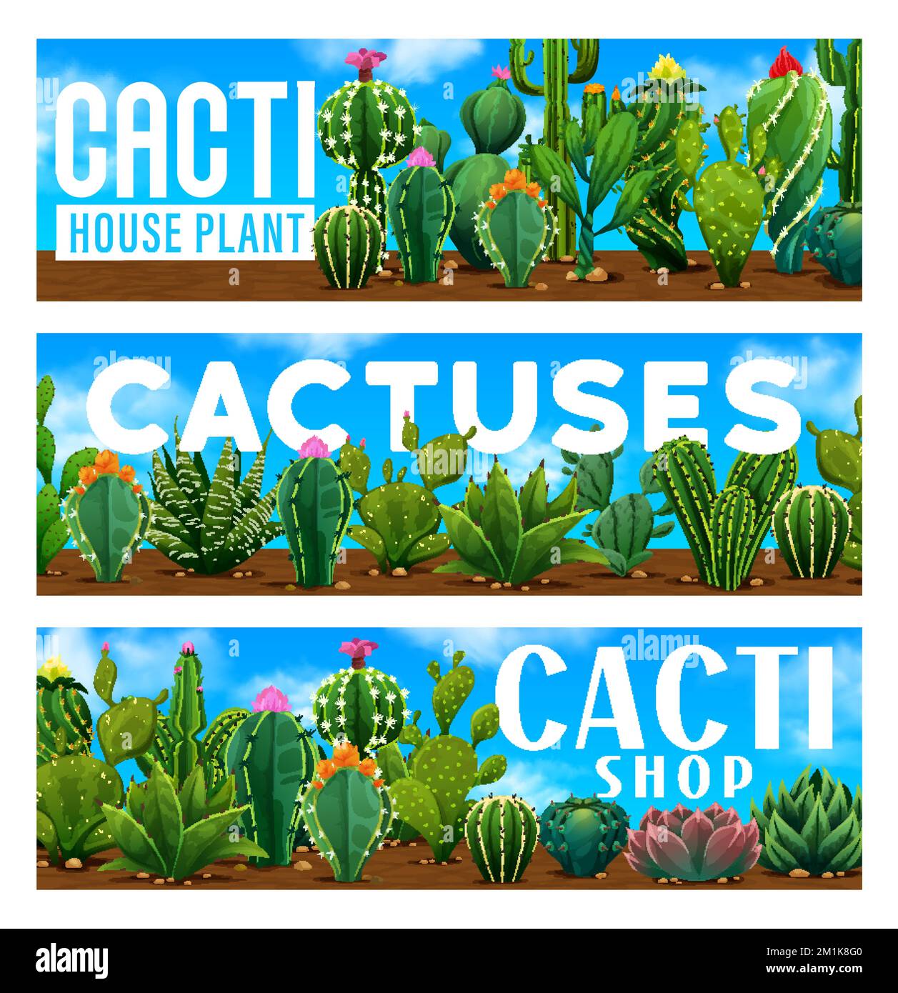Cacti echinocereus Stock Vector Images - Alamy