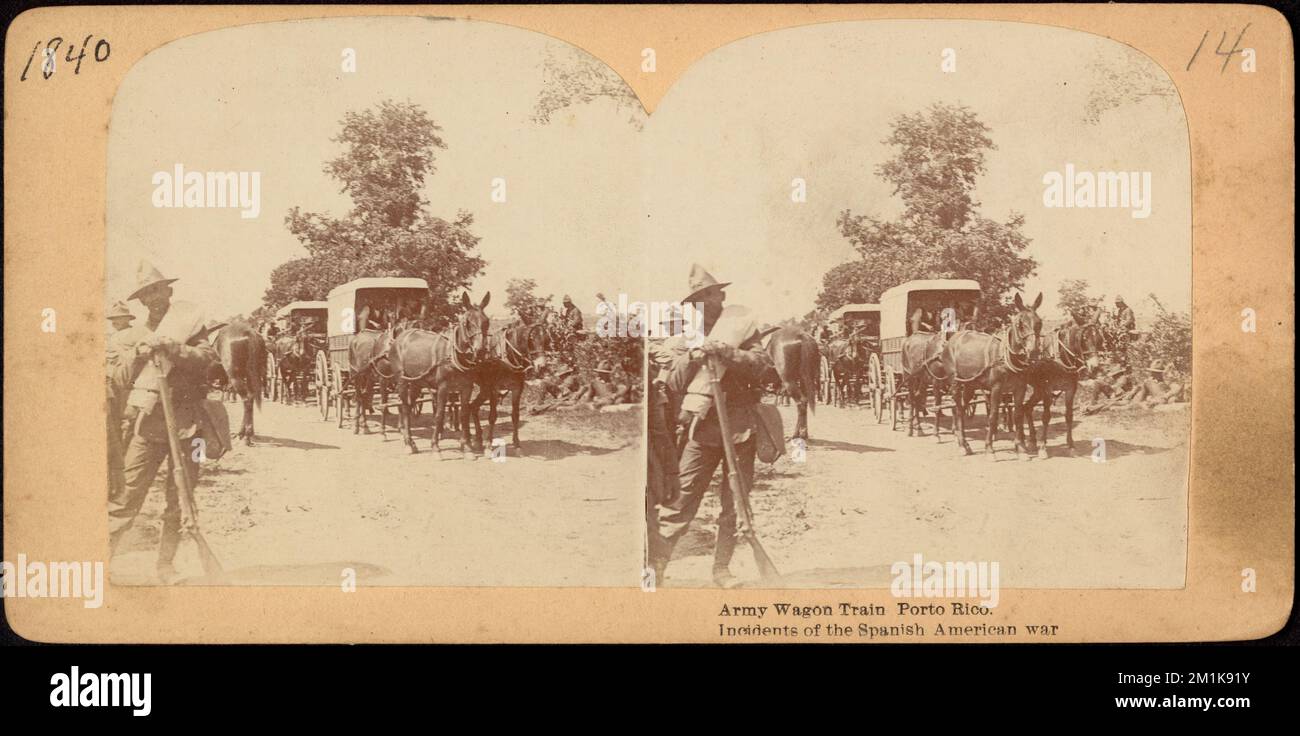 Army wagon train. Porto Rico , Carts & wagons, Troop movements, Spanish ...
