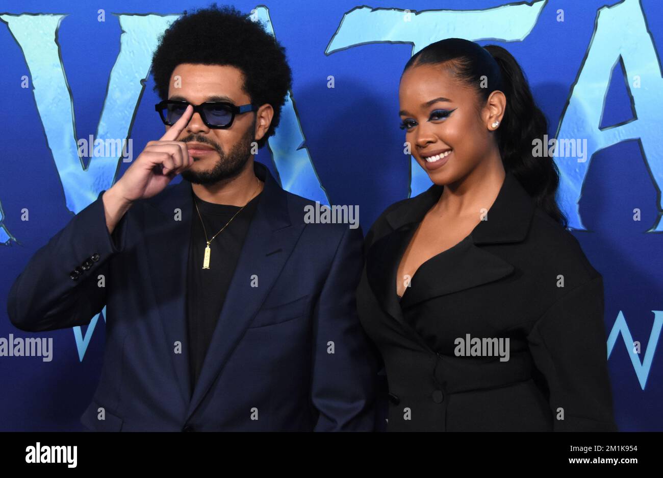 Hollywood, California, USA 12th December 2022 Singer/musician The ...