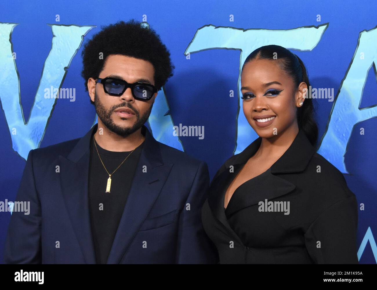 Hollywood, California, USA 12th December 2022 Singer/musician The ...